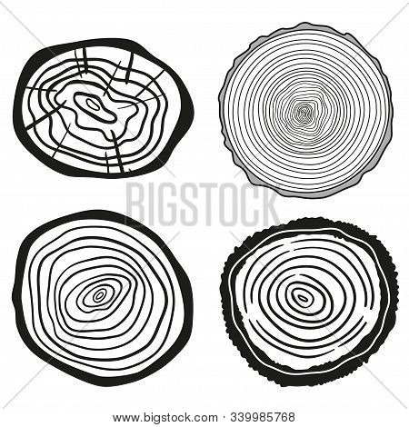 Monochrome Tree Rings Vector & Photo (Free Trial) | Bigstock