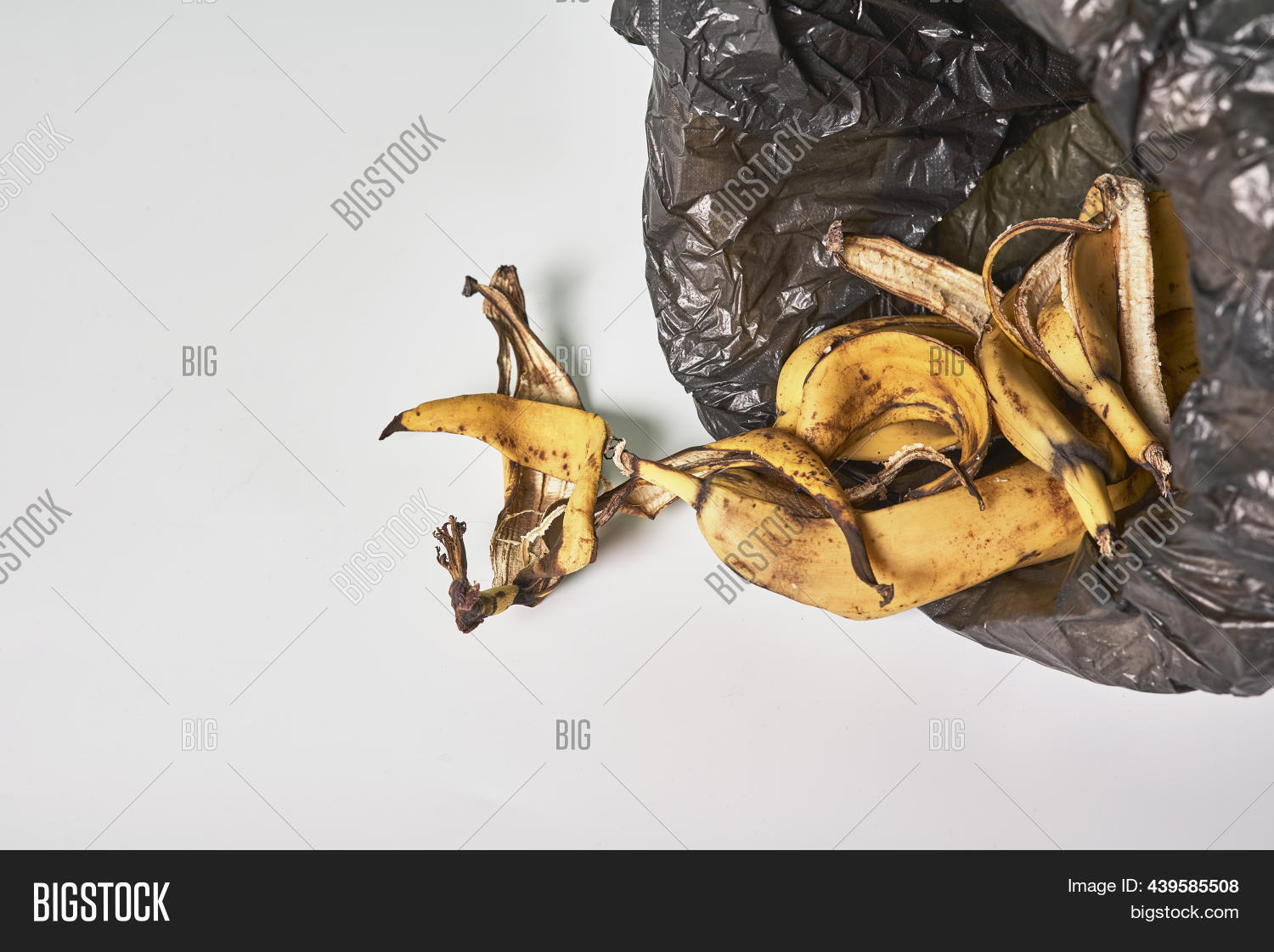 Banana Peels Trash Can Image & Photo (Free Trial) | Bigstock
