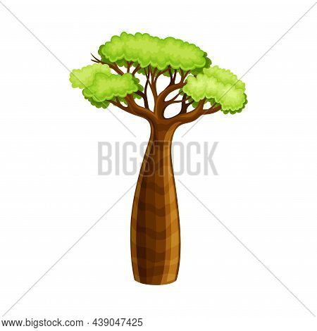 Baobab Tree Green Vector & Photo (Free Trial) | Bigstock