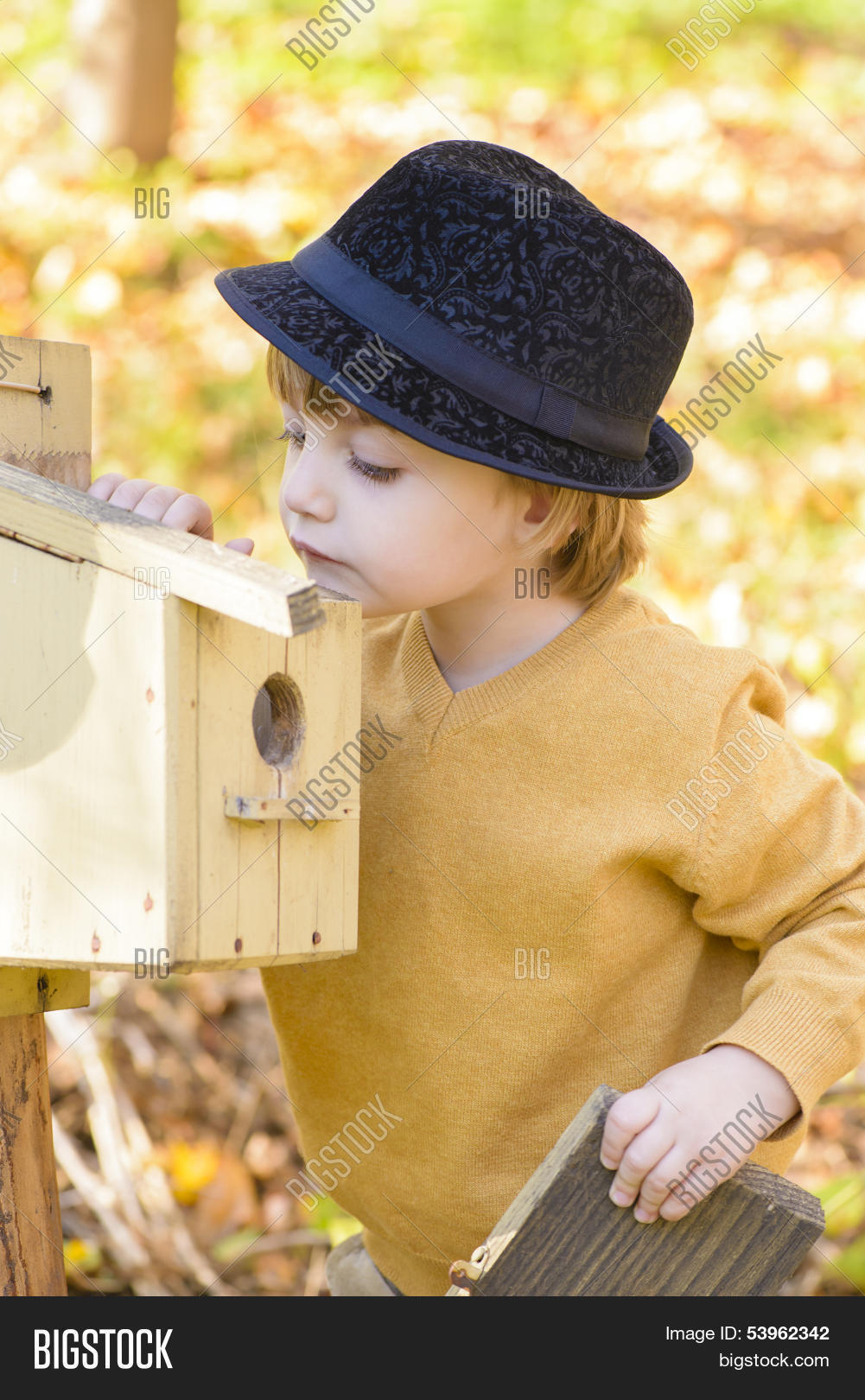Child Looking Curious Image & Photo (Free Trial) | Bigstock