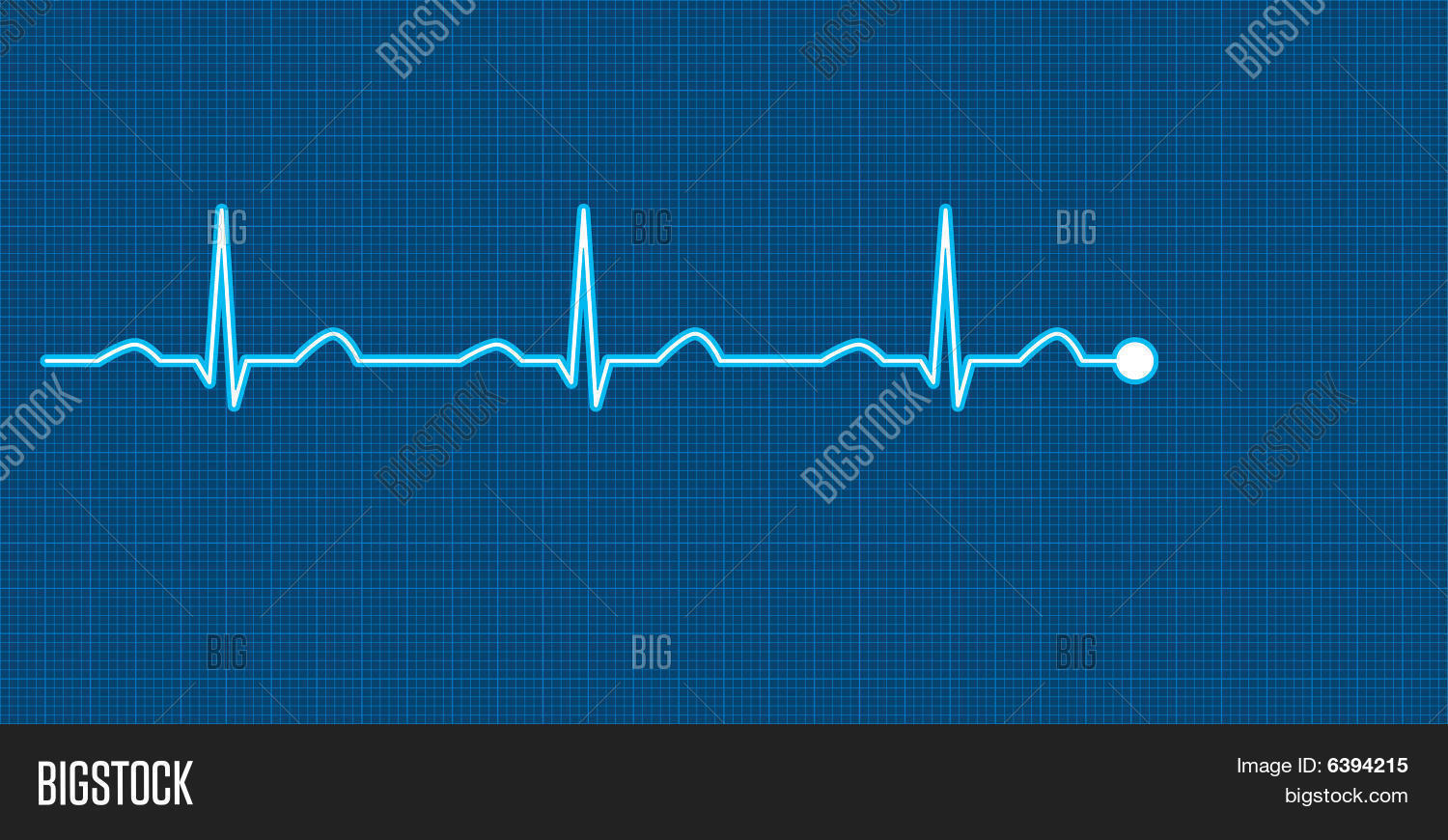 ECG Vector Vector & Photo (Free Trial) | Bigstock