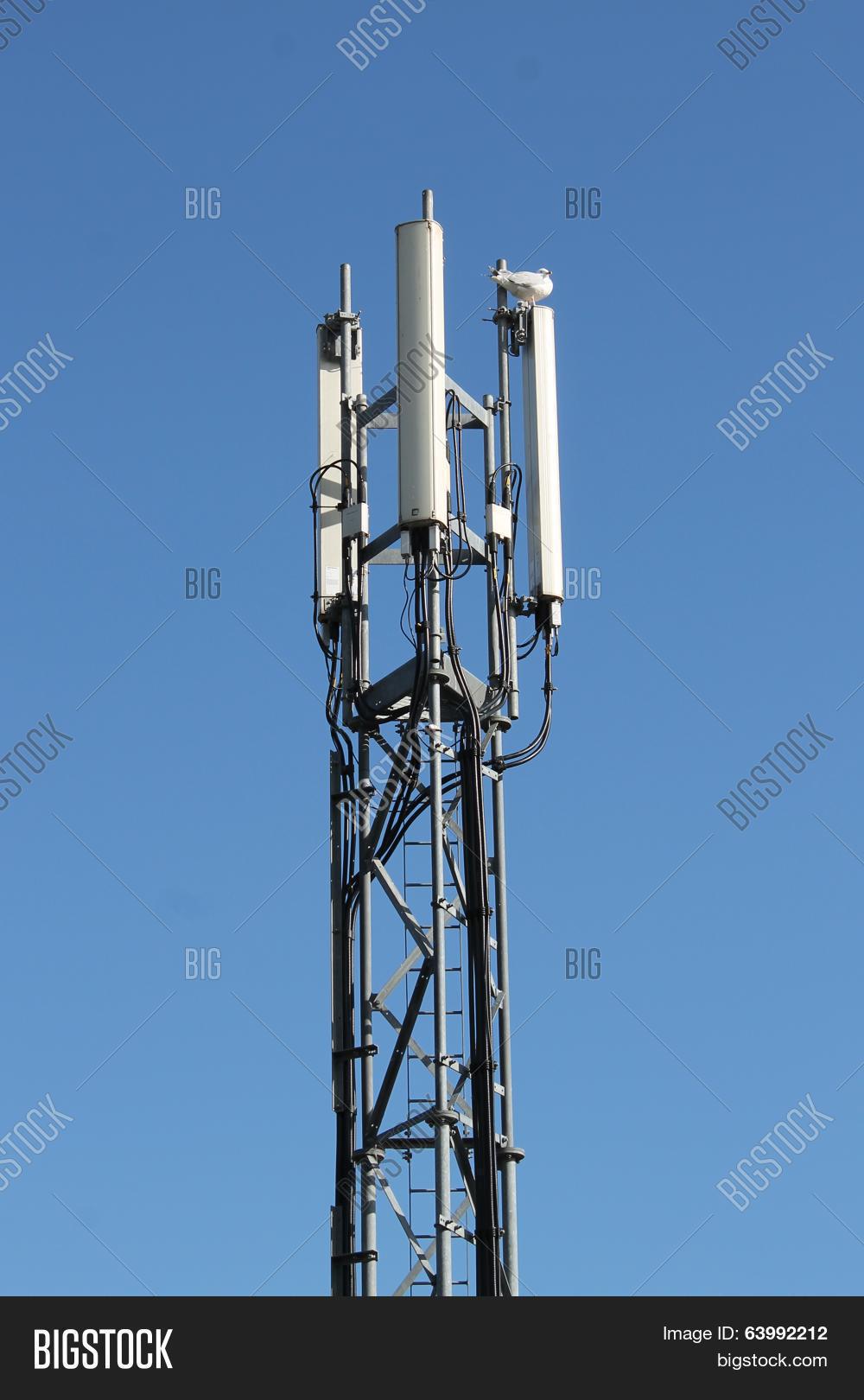 Three-sector Mobile Image & Photo (Free Trial) | Bigstock