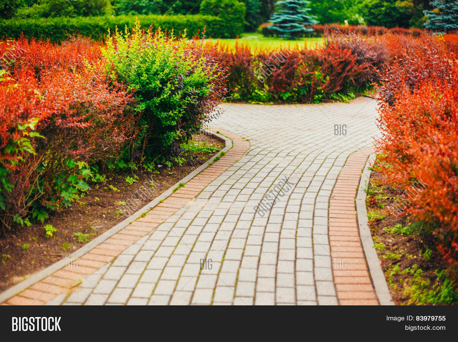 Beautiful Alley Park. Image & Photo (Free Trial) | Bigstock