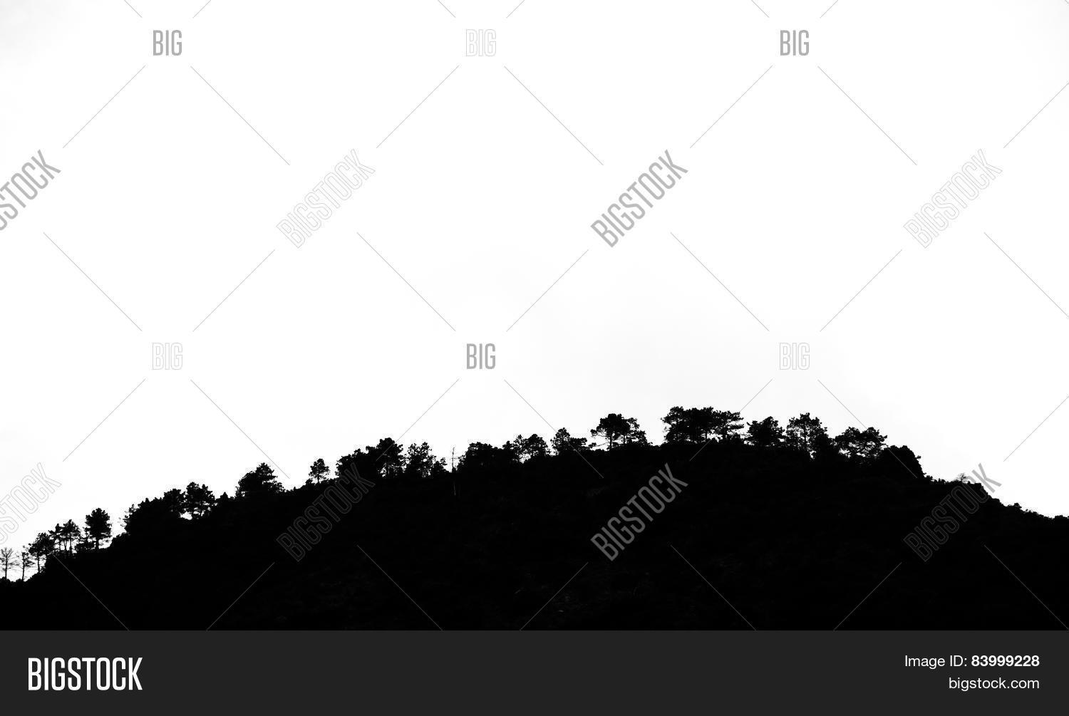 Threshold Forest Clear Image & Photo (Free Trial) | Bigstock