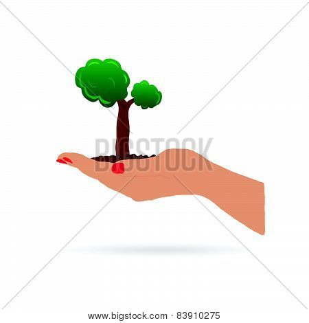 Hand Holding Tree Vector & Photo (Free Trial) | Bigstock