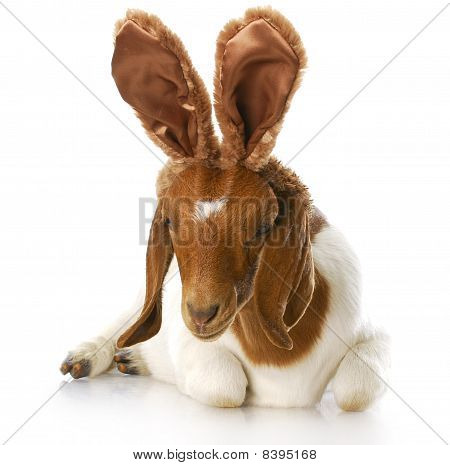 Easter Goat Image & Photo (Free Trial) | Bigstock