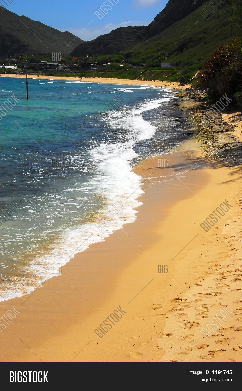 Hawaii Beach Image & Photo (Free Trial) | Bigstock