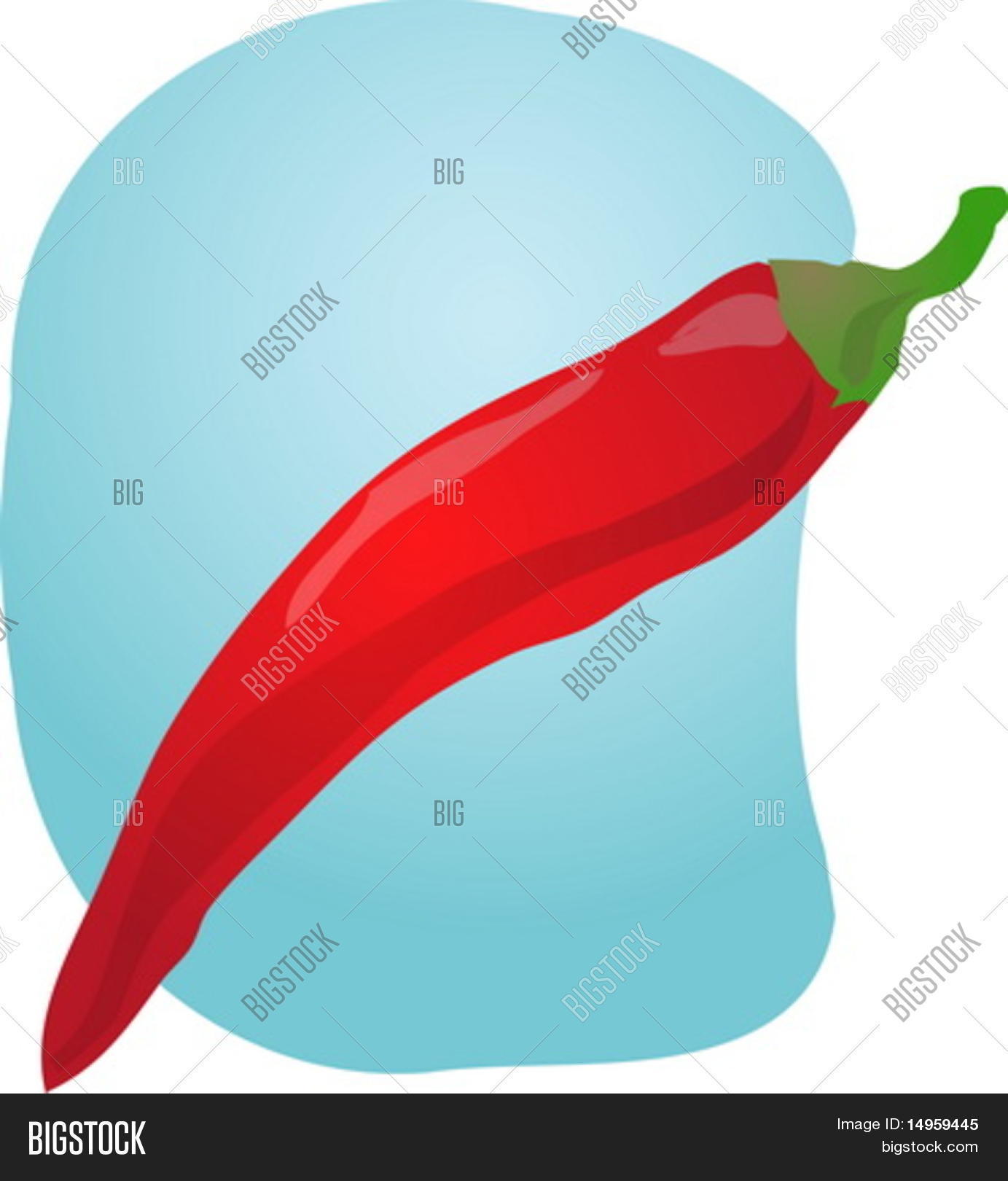 Sketch Chilli. Hand- Vector & Photo (Free Trial) | Bigstock