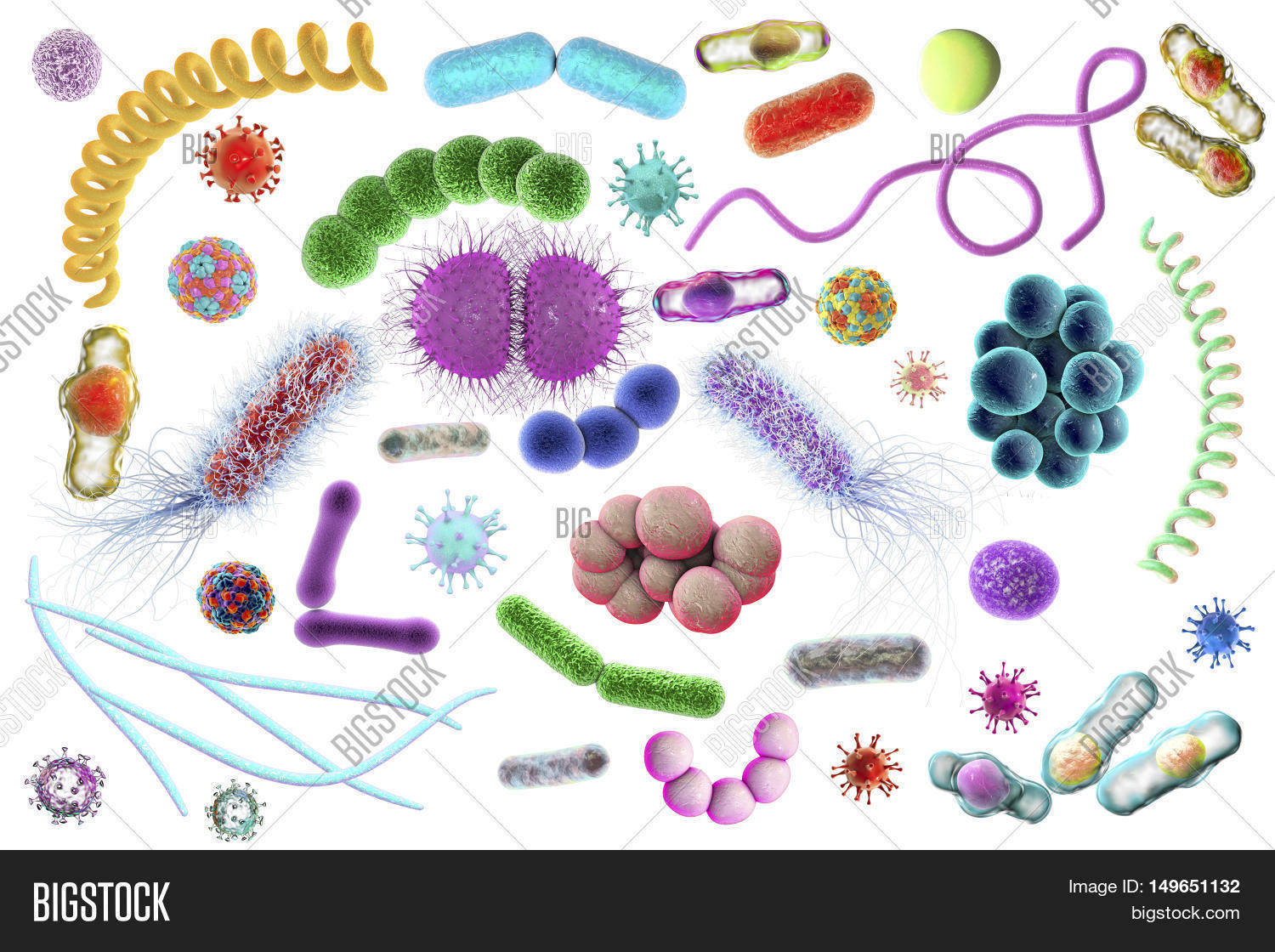 Microbes, 3D Image & Photo (Free Trial) | Bigstock