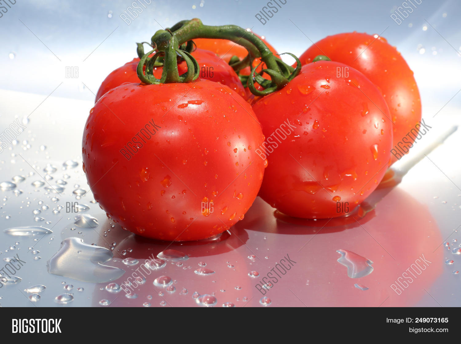 Tomato. Fresh Vine Image & Photo (Free Trial) | Bigstock