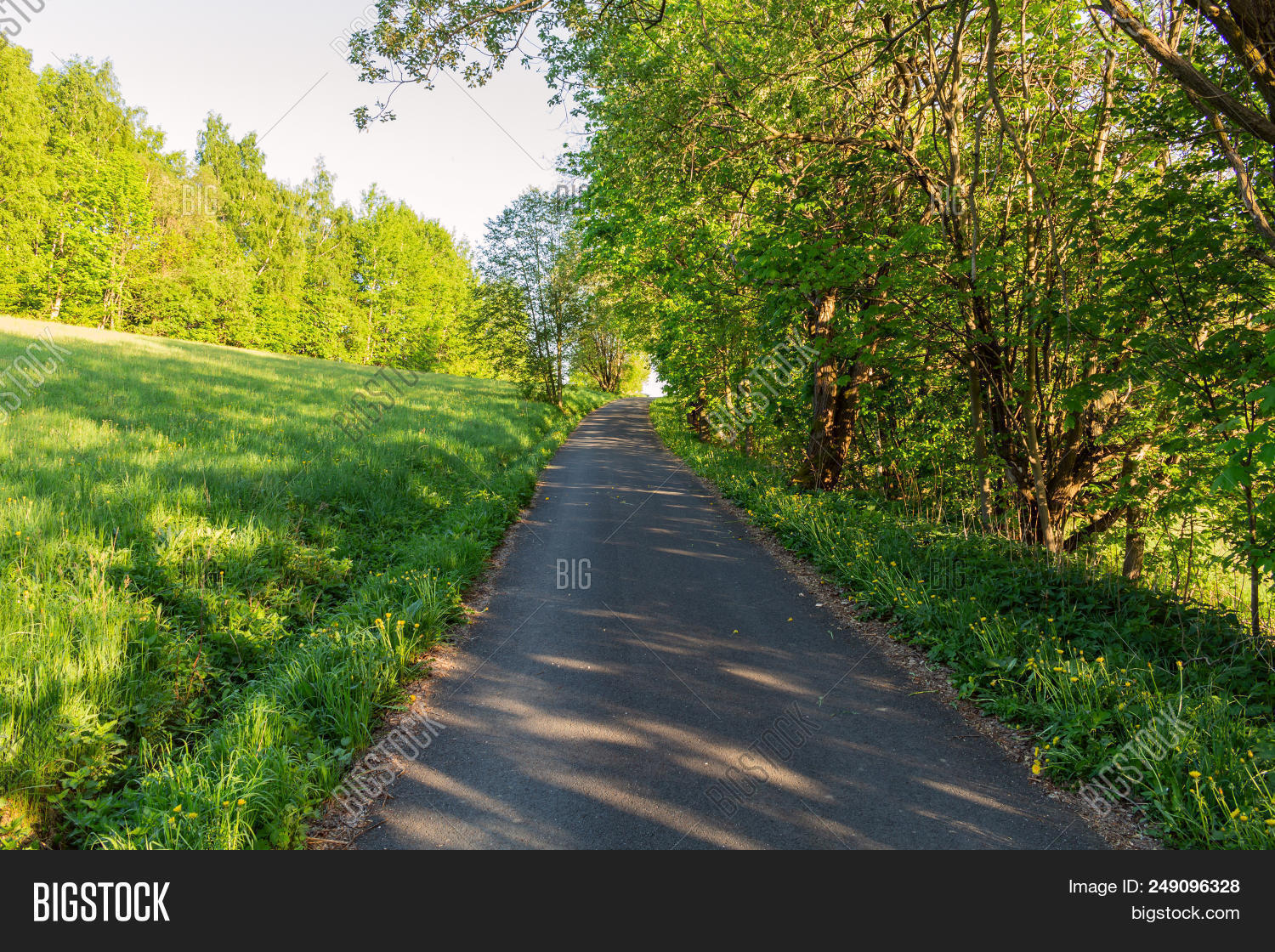 Cycling Nature Forest Image & Photo (Free Trial) | Bigstock