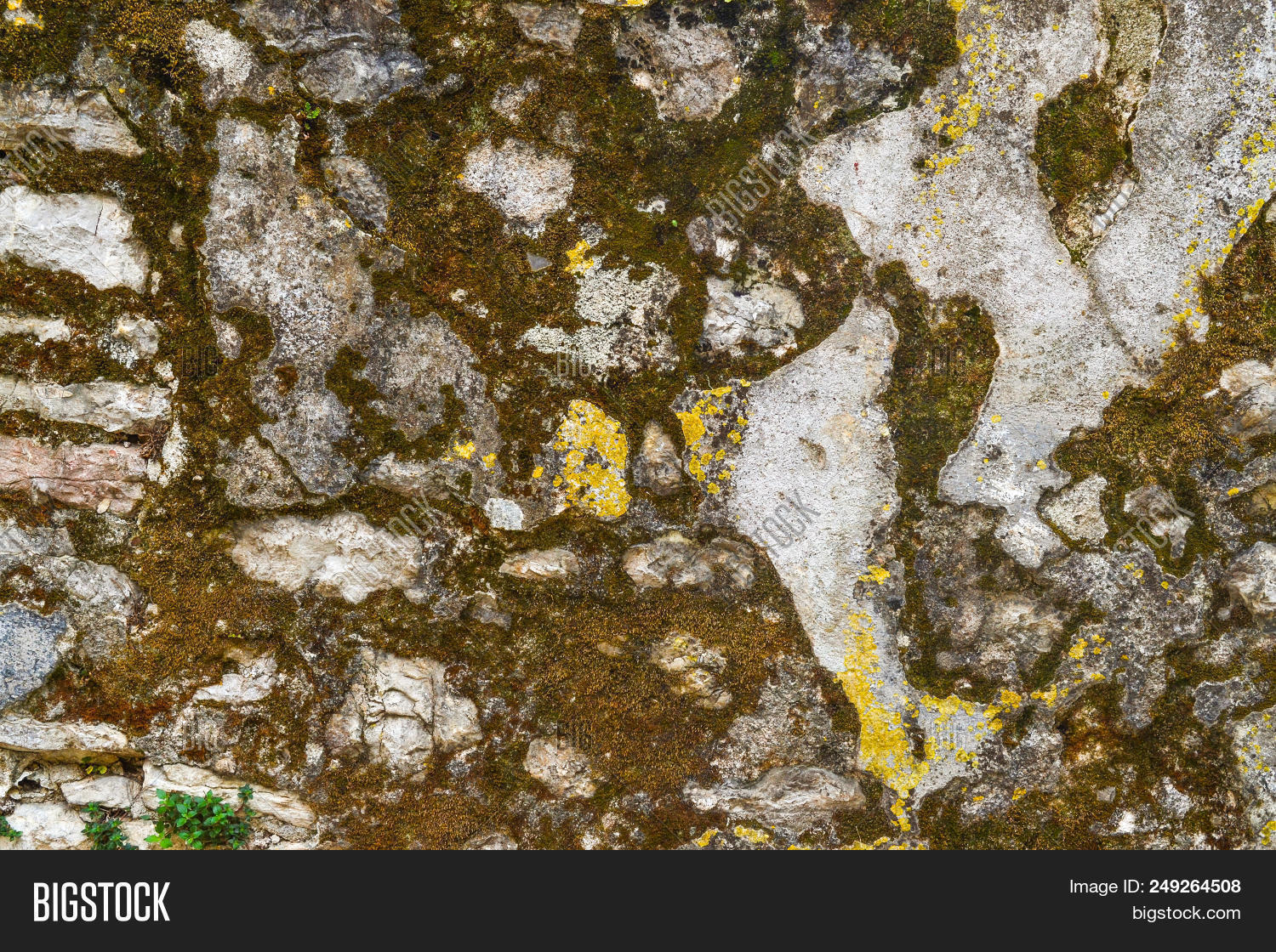 Beautiful Relief Image & Photo (Free Trial) | Bigstock