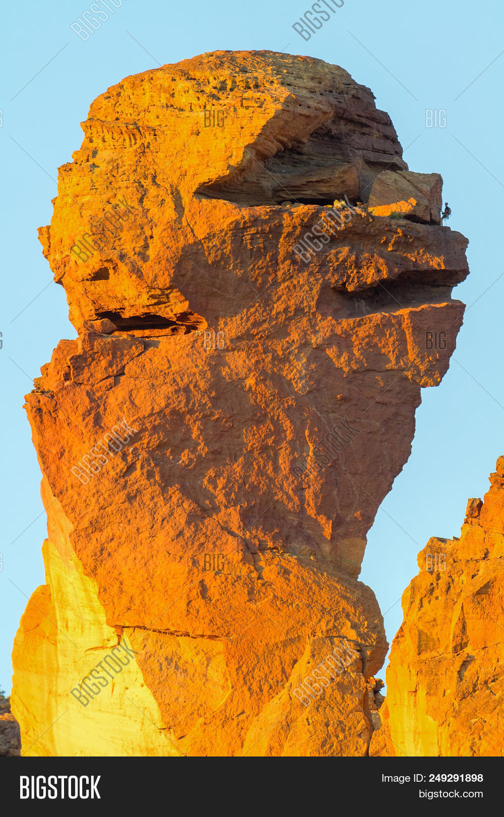 Climbing Monkey Face Image & Photo (Free Trial) | Bigstock