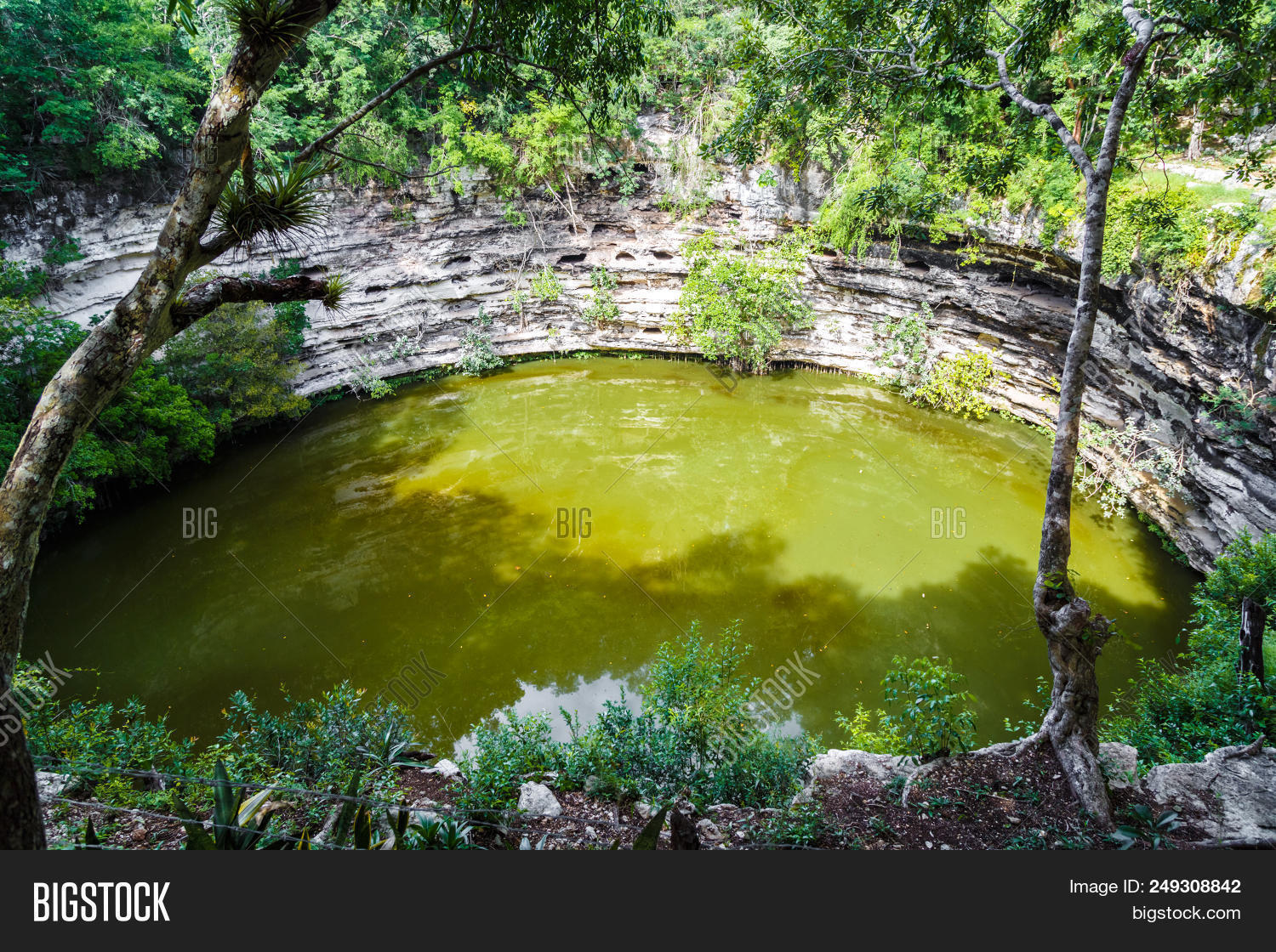 Well Death Chichen Image & Photo (Free Trial) | Bigstock