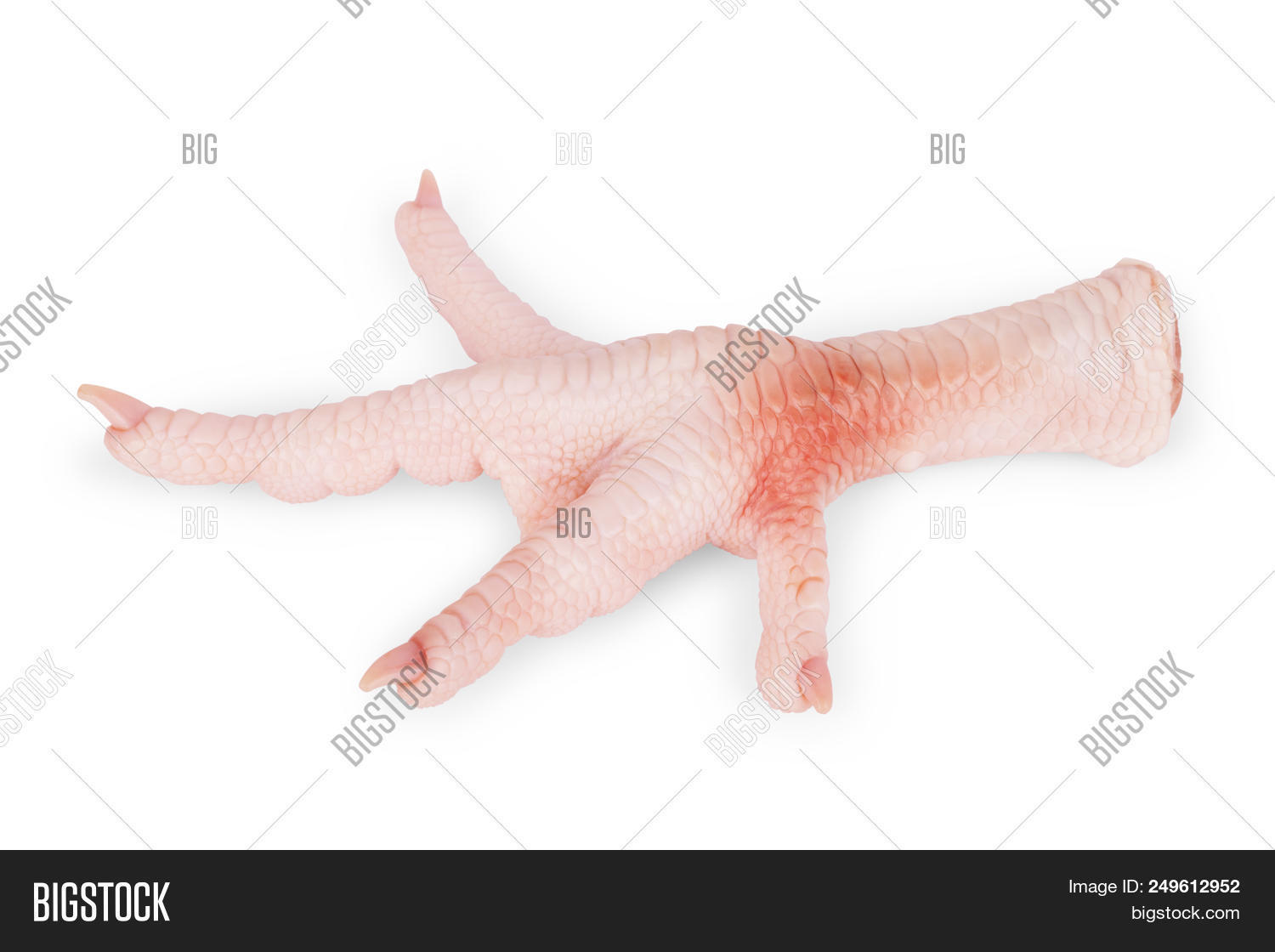 Raw Chicken Legs Claws Image & Photo (Free Trial) | Bigstock