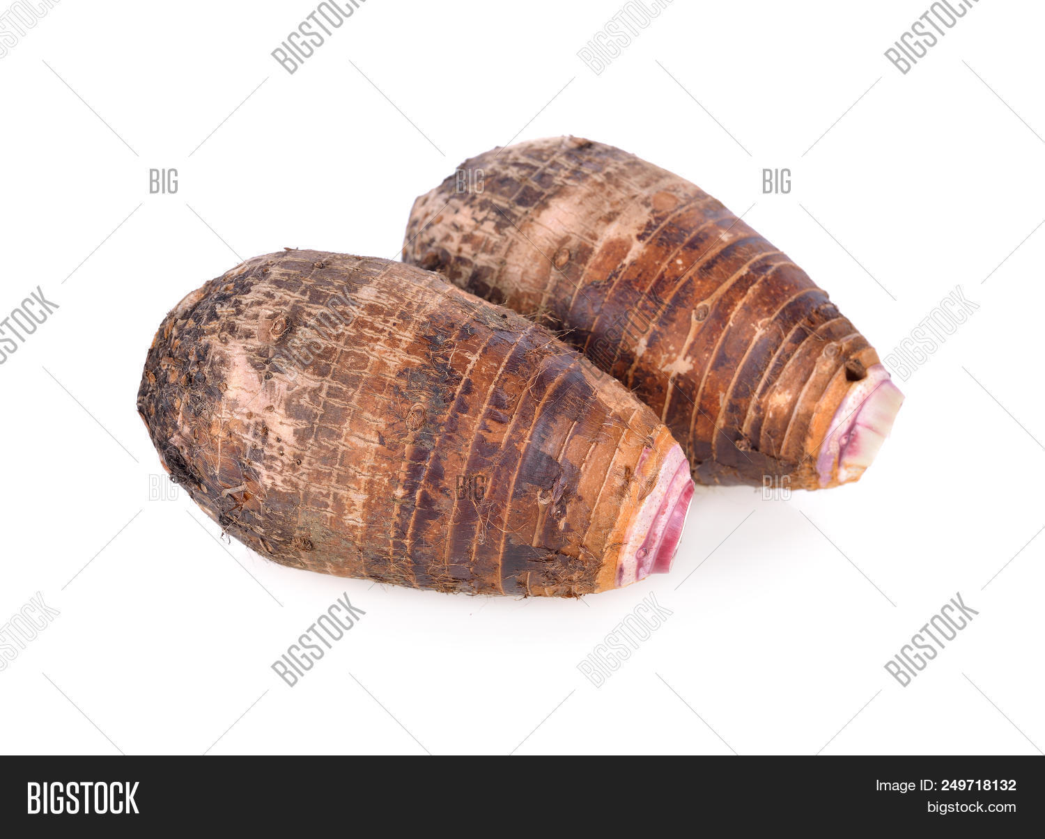 Whole Fresh Taro On Image & Photo (Free Trial) | Bigstock