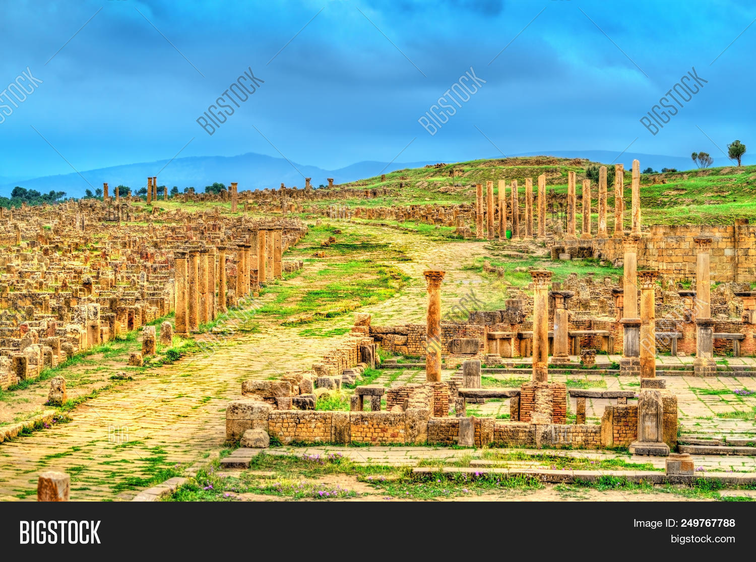 Timgad, Ruins Roman- Image & Photo (Free Trial) | Bigstock
