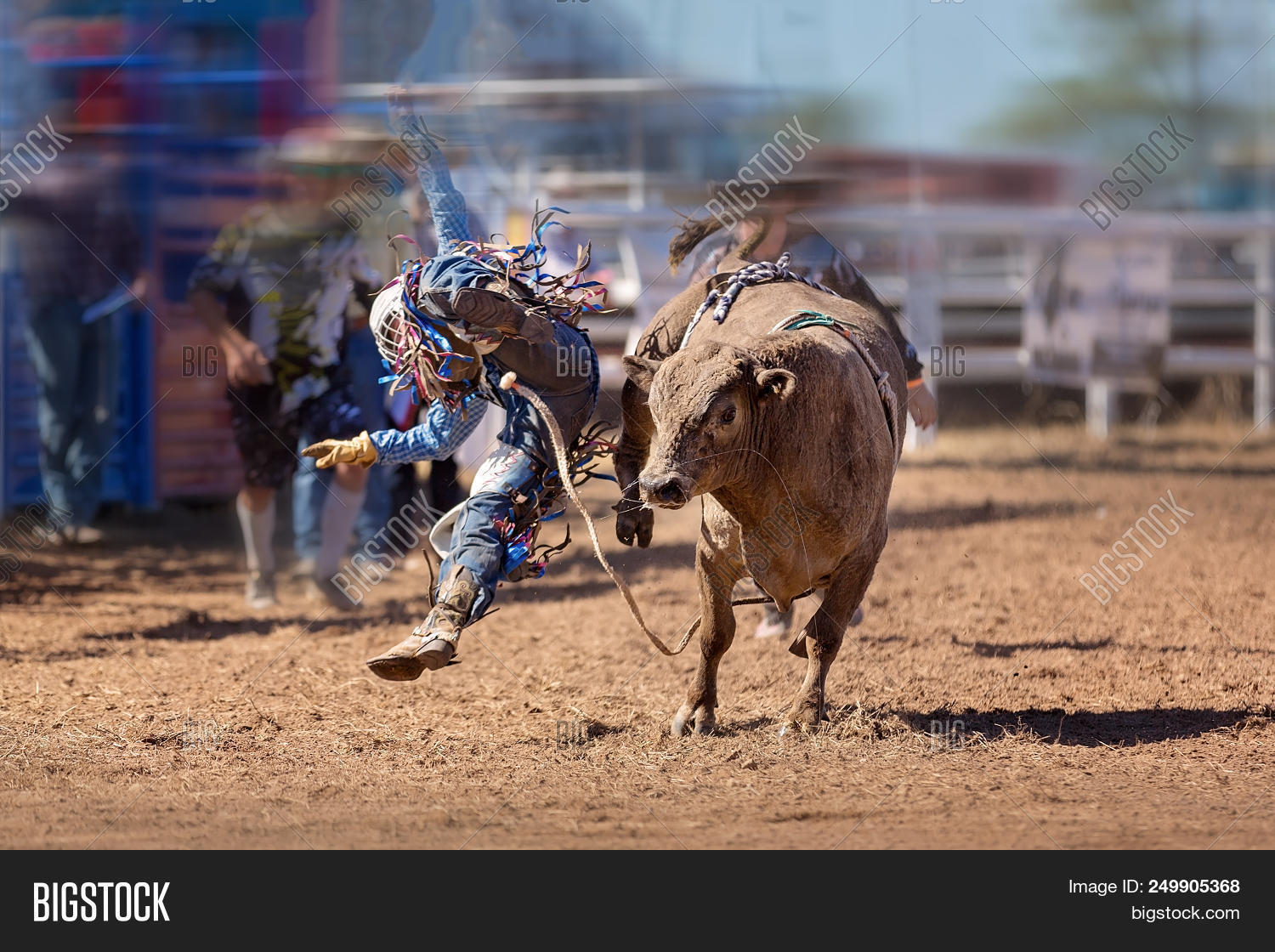 Cowboy Falls Off Image & Photo (Free Trial) | Bigstock