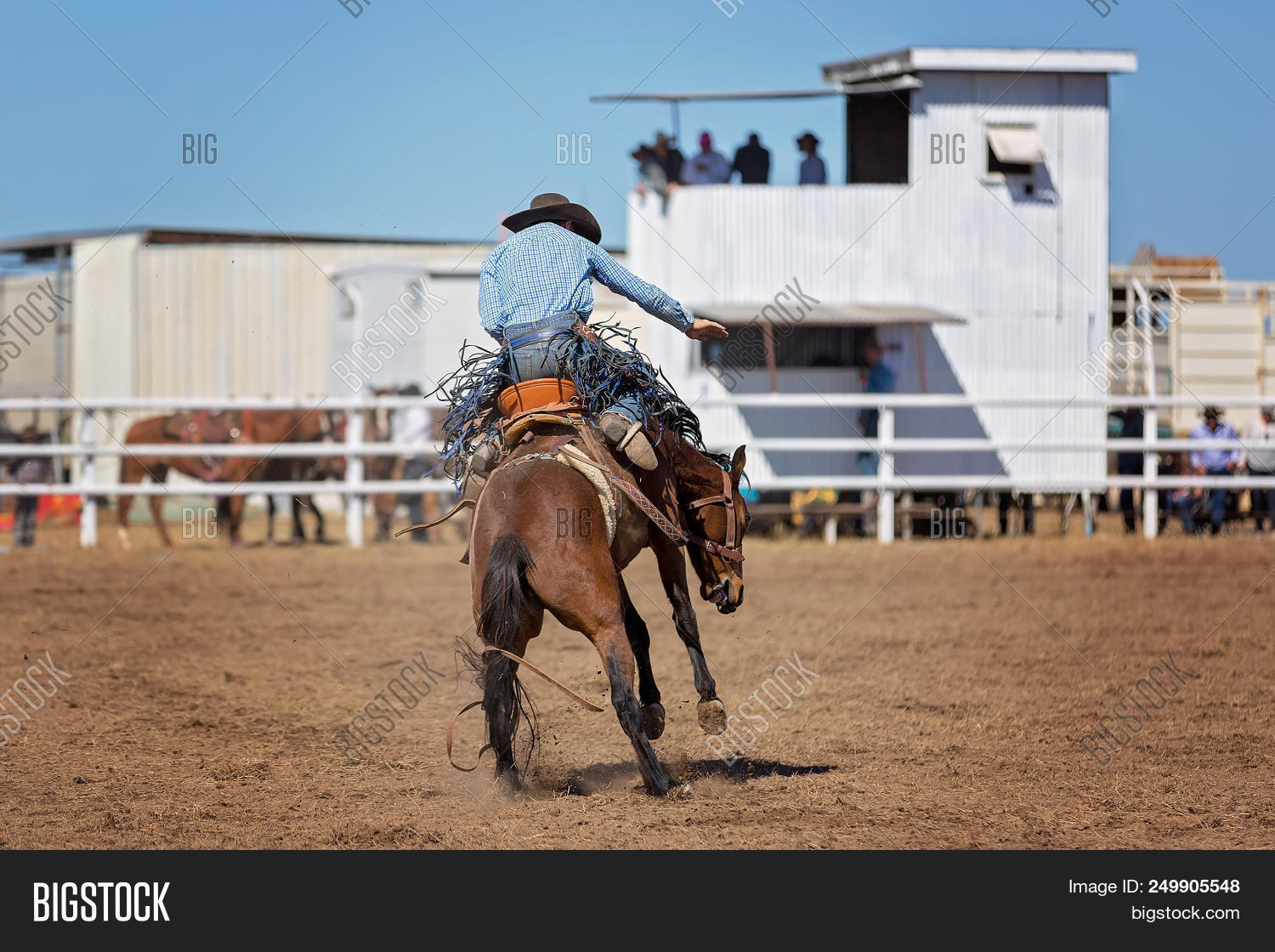Cowboy Riding Bucking Image & Photo (Free Trial) | Bigstock
