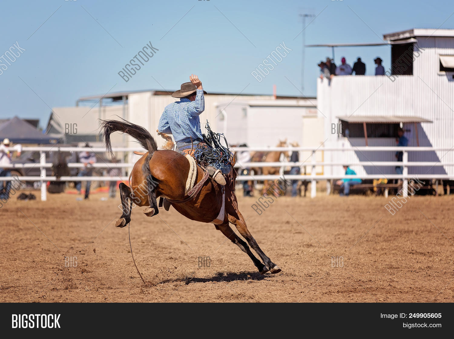 Cowboy Riding Bucking Image & Photo (Free Trial) | Bigstock