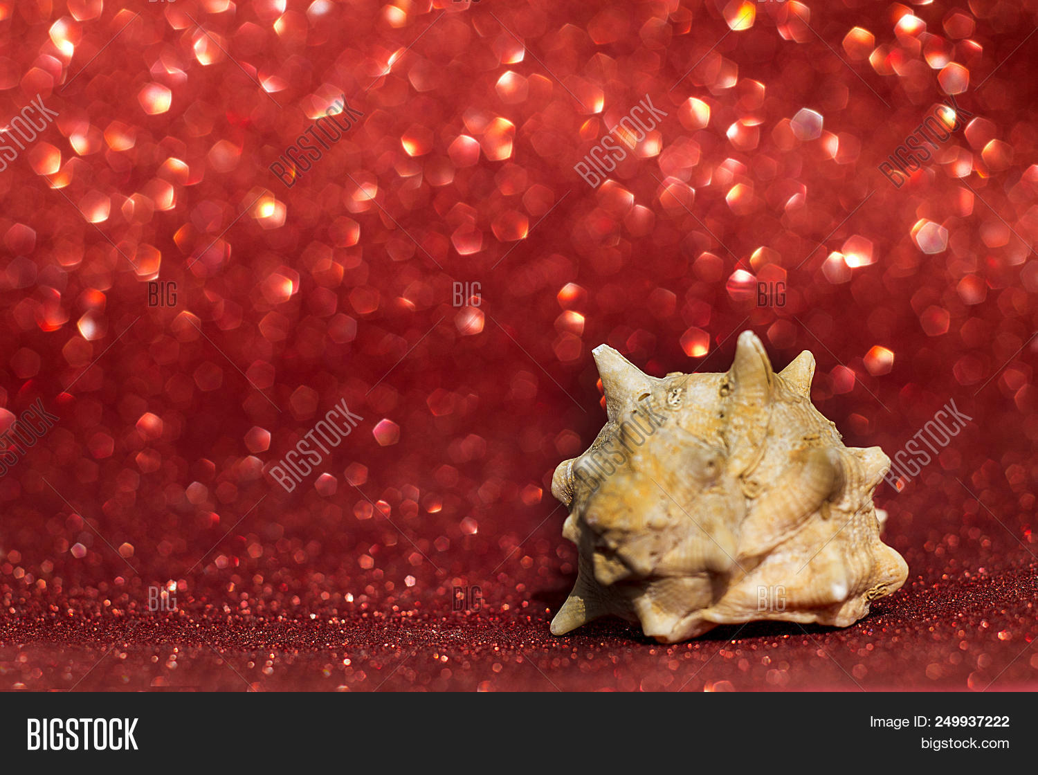 Isolated Seashell Red Image & Photo (Free Trial) | Bigstock