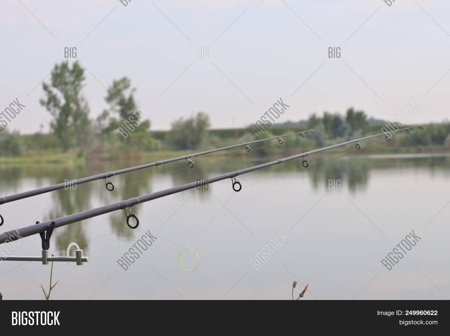 Fishing Rods On Lake Image & Photo (Free Trial) | Bigstock