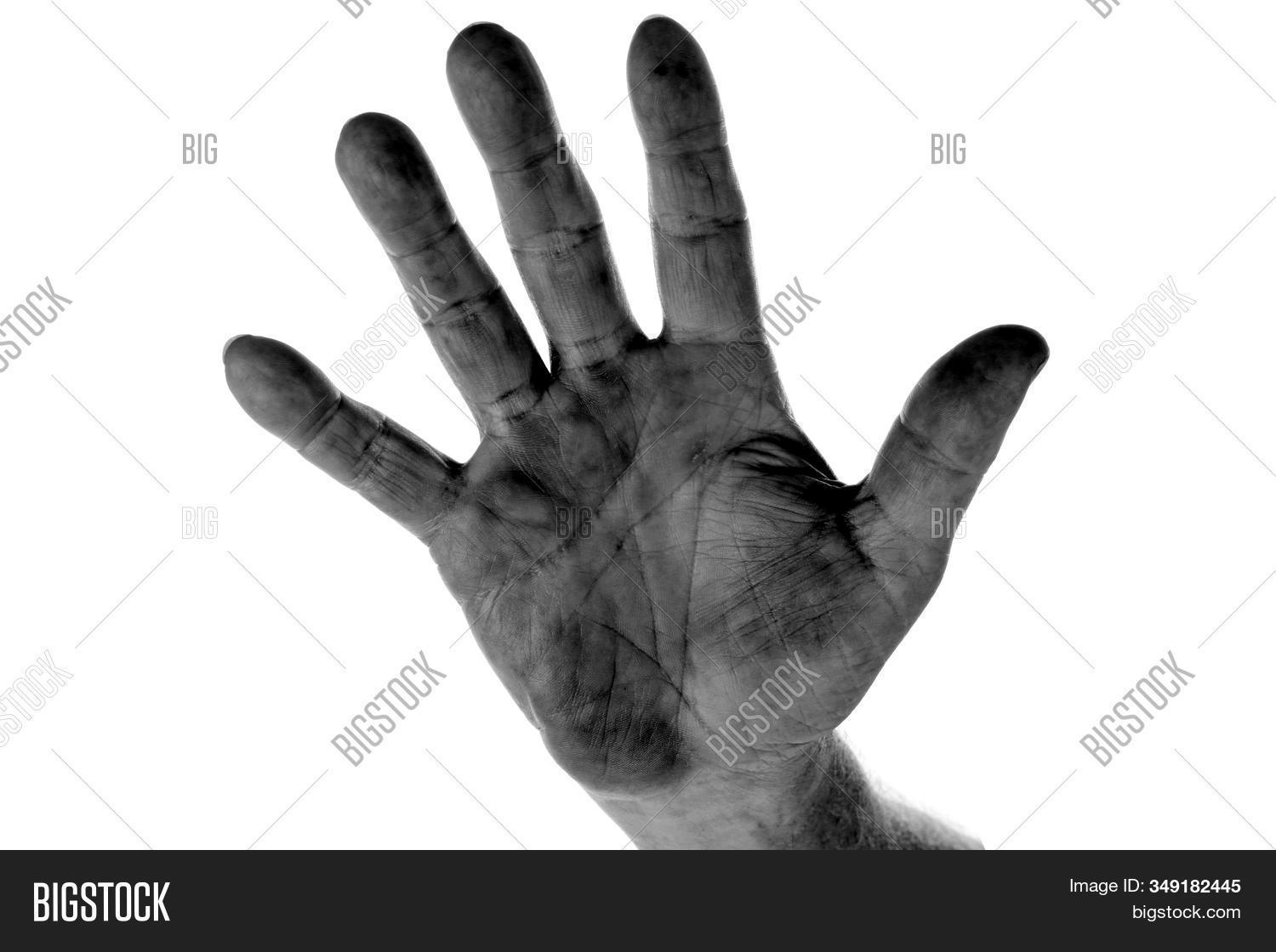 Human Hand. Isolated Image & Photo (Free Trial) | Bigstock