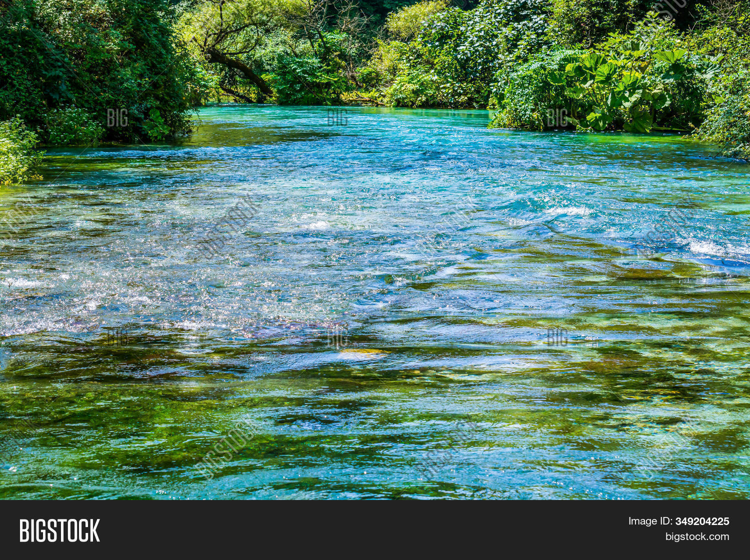 Blue Eye - Syri Kalter Image & Photo (Free Trial) | Bigstock