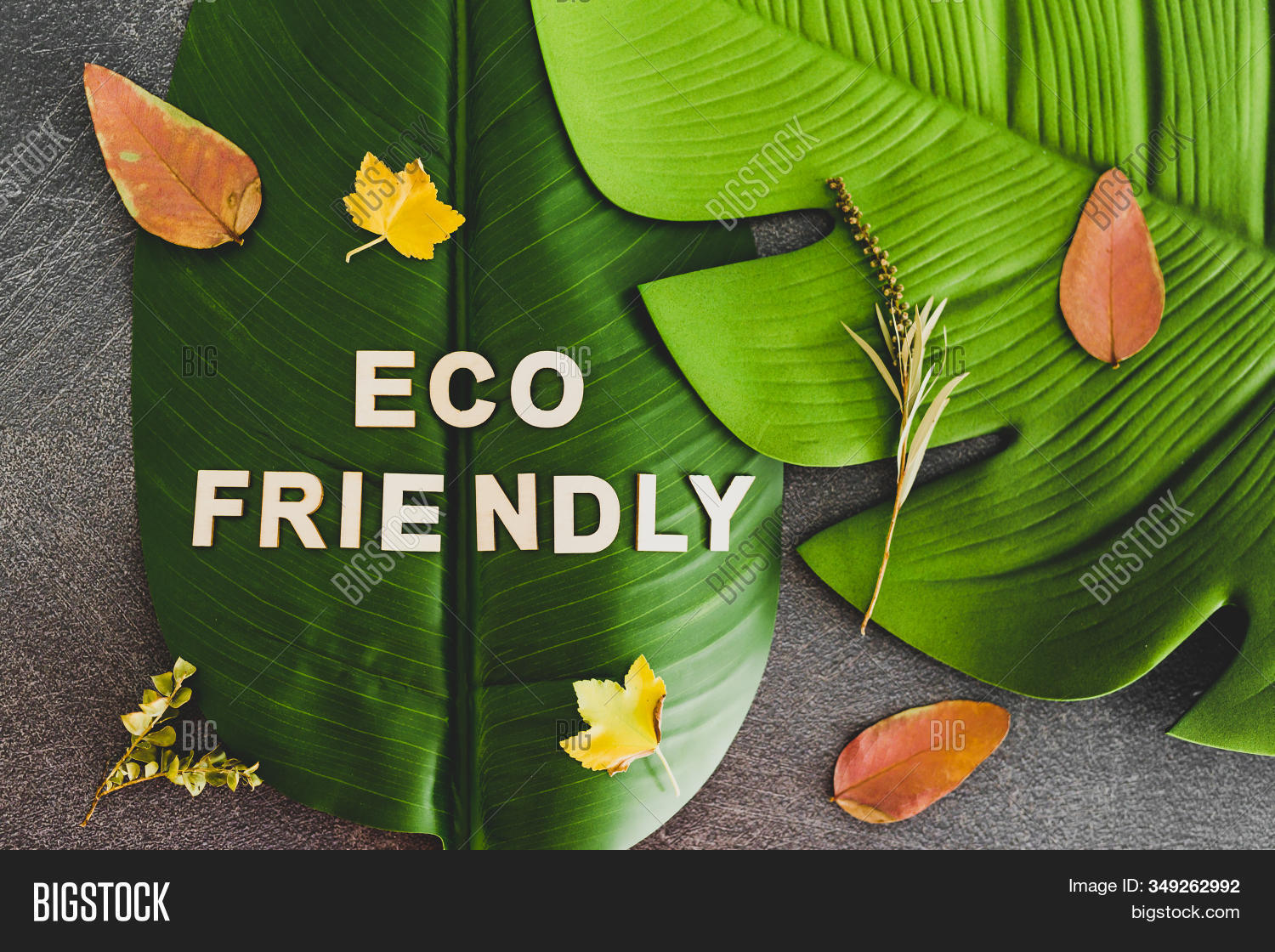 Respect Environemnt, Image & Photo (Free Trial) | Bigstock