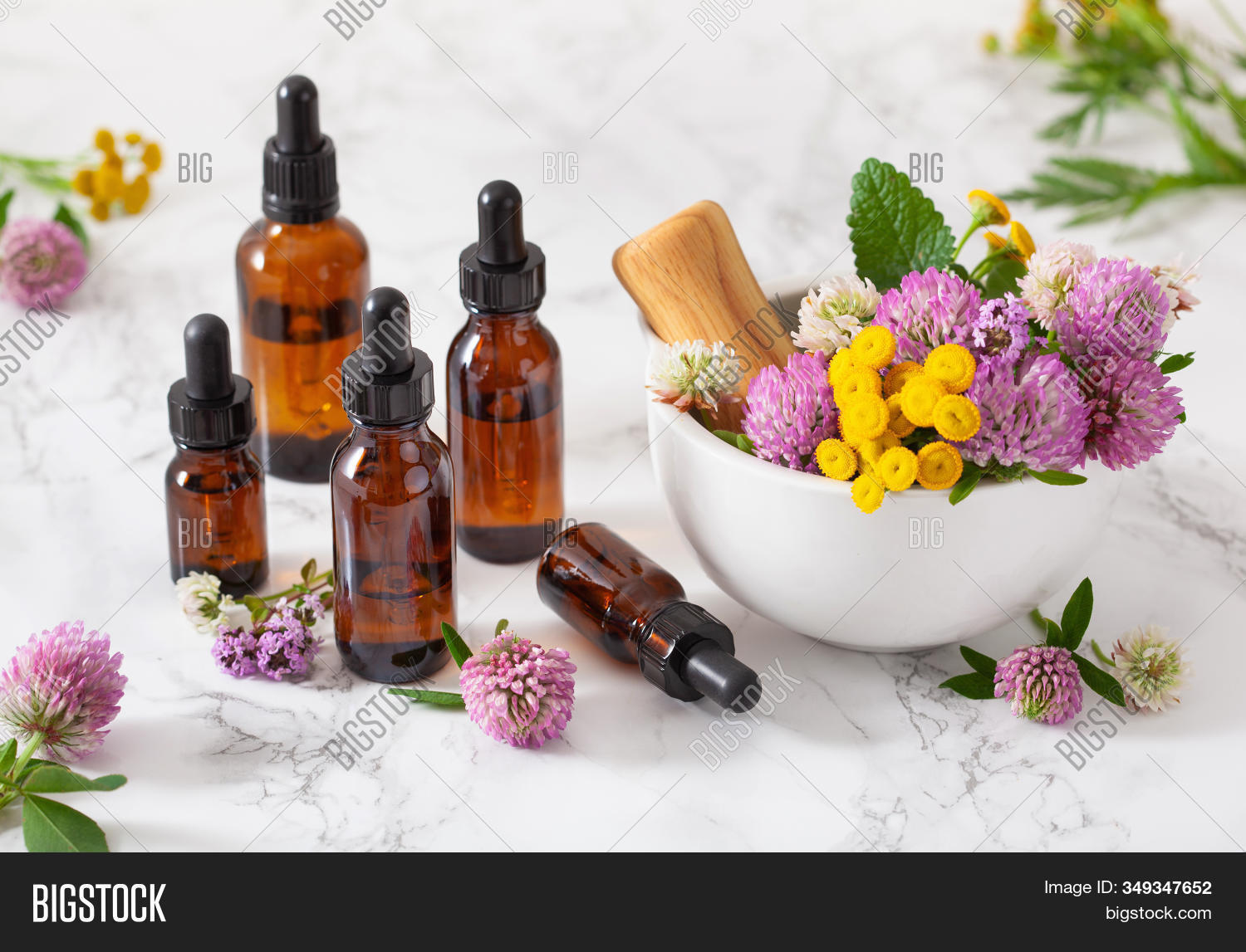 Medical Flowers Herbs Image & Photo (Free Trial) | Bigstock