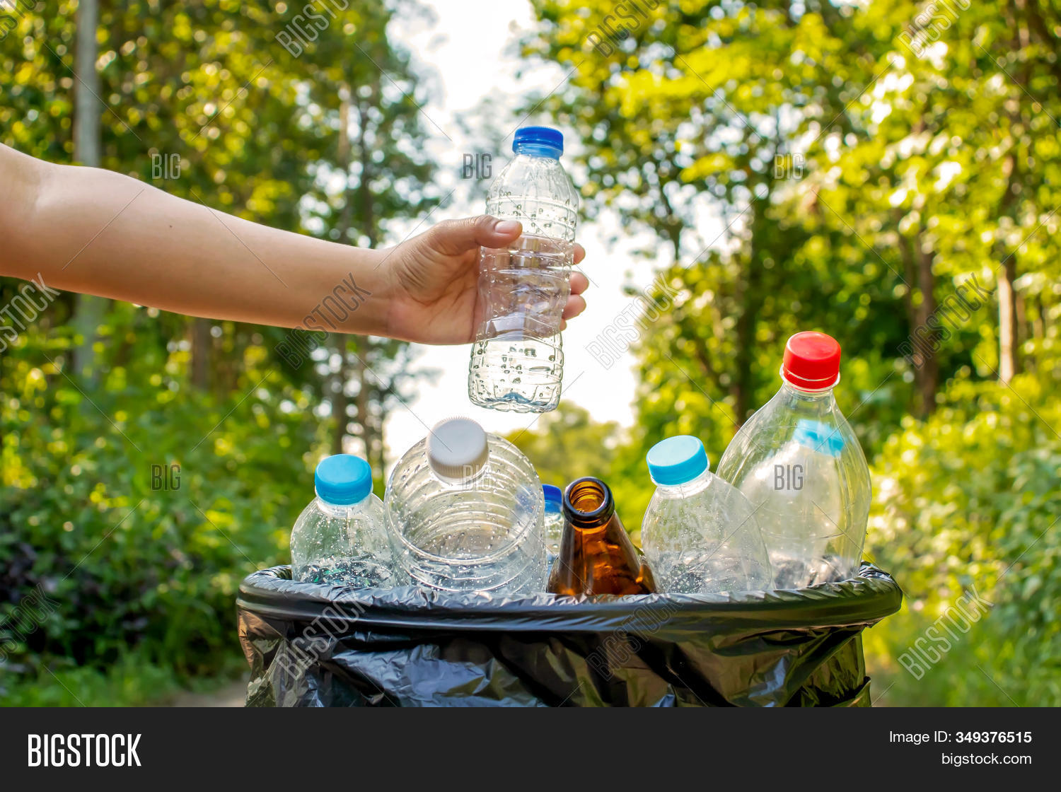 Person's Hand Collects Image & Photo (Free Trial) | Bigstock