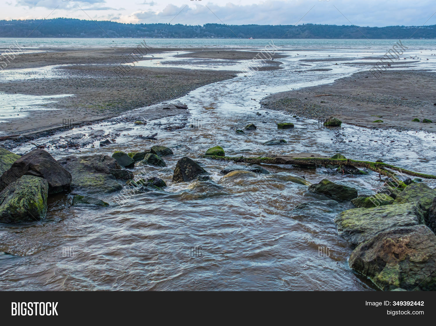 Stream Flows Into Image & Photo (Free Trial) | Bigstock