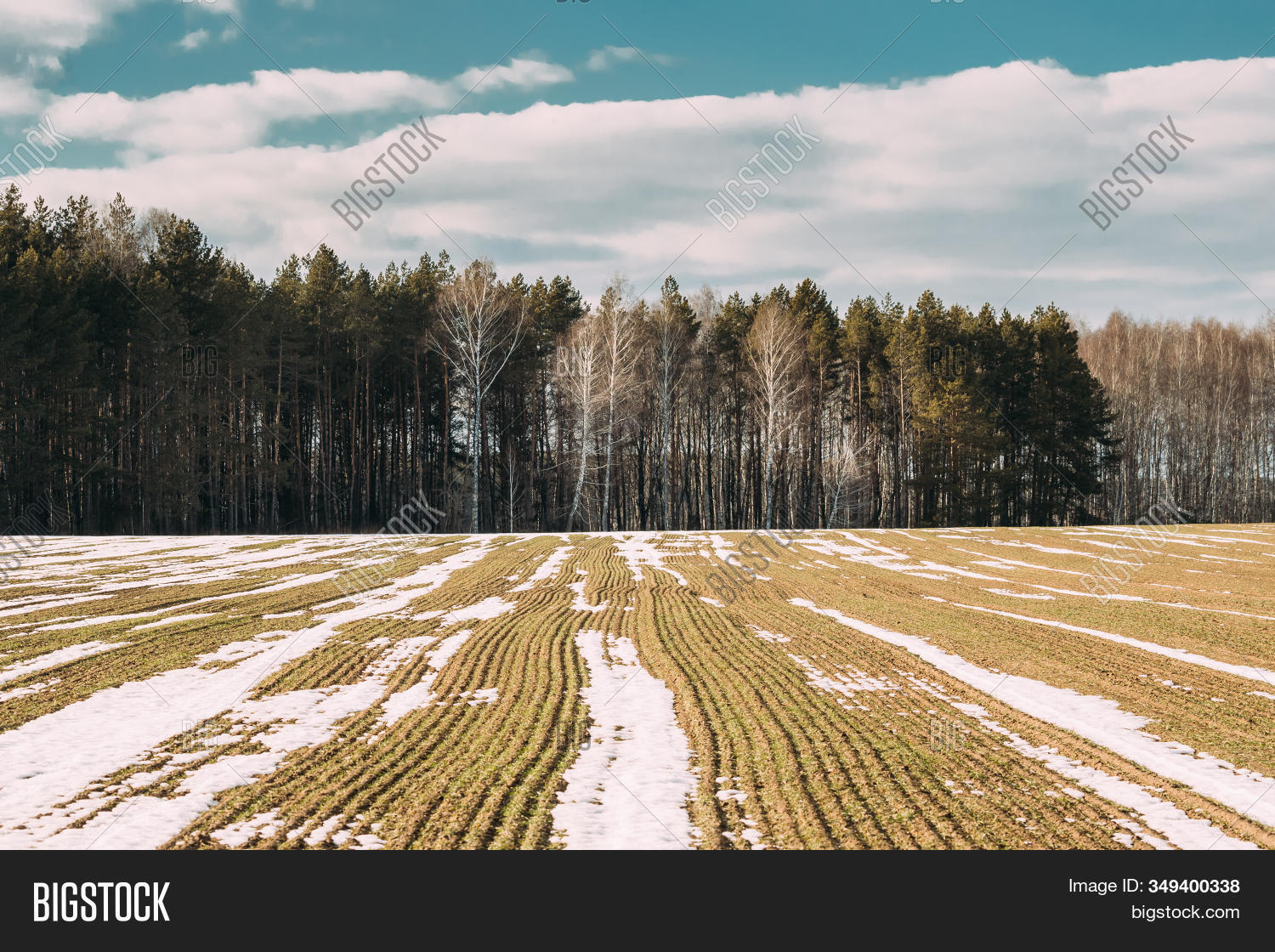 Spring Plowed Field Image & Photo (Free Trial) | Bigstock
