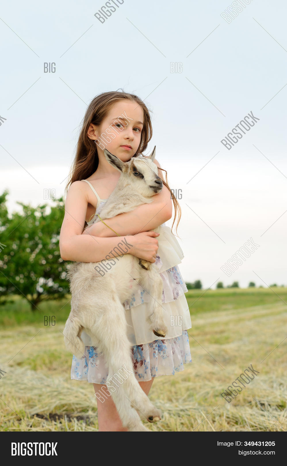 Girl Baby Goat On Farm Image & Photo (Free Trial) | Bigstock