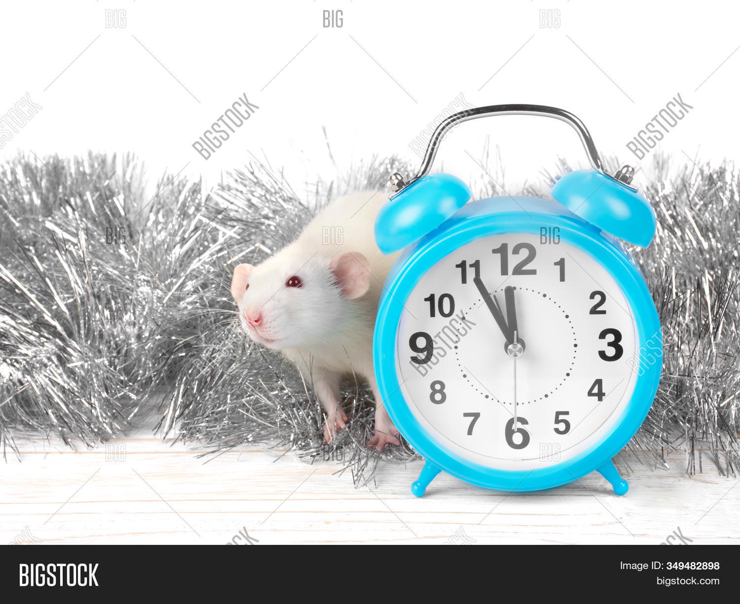 Cute White Rat Clock Image & Photo (Free Trial) | Bigstock