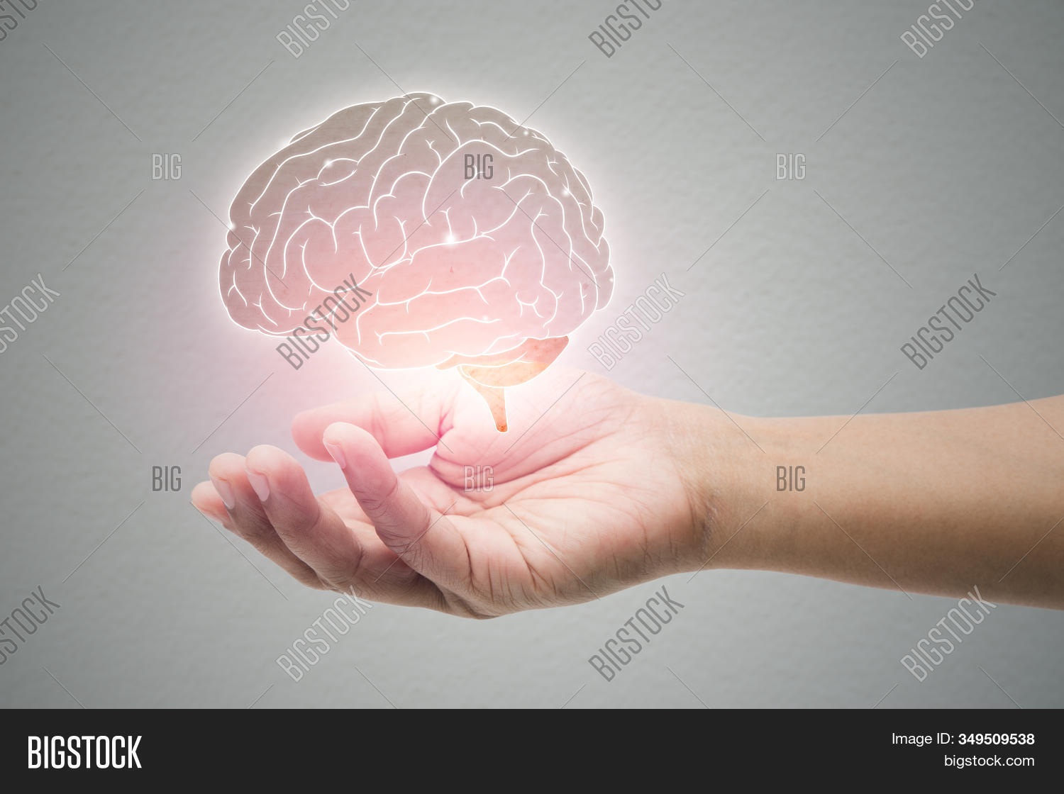 Man Holding Brain Image & Photo (Free Trial) | Bigstock