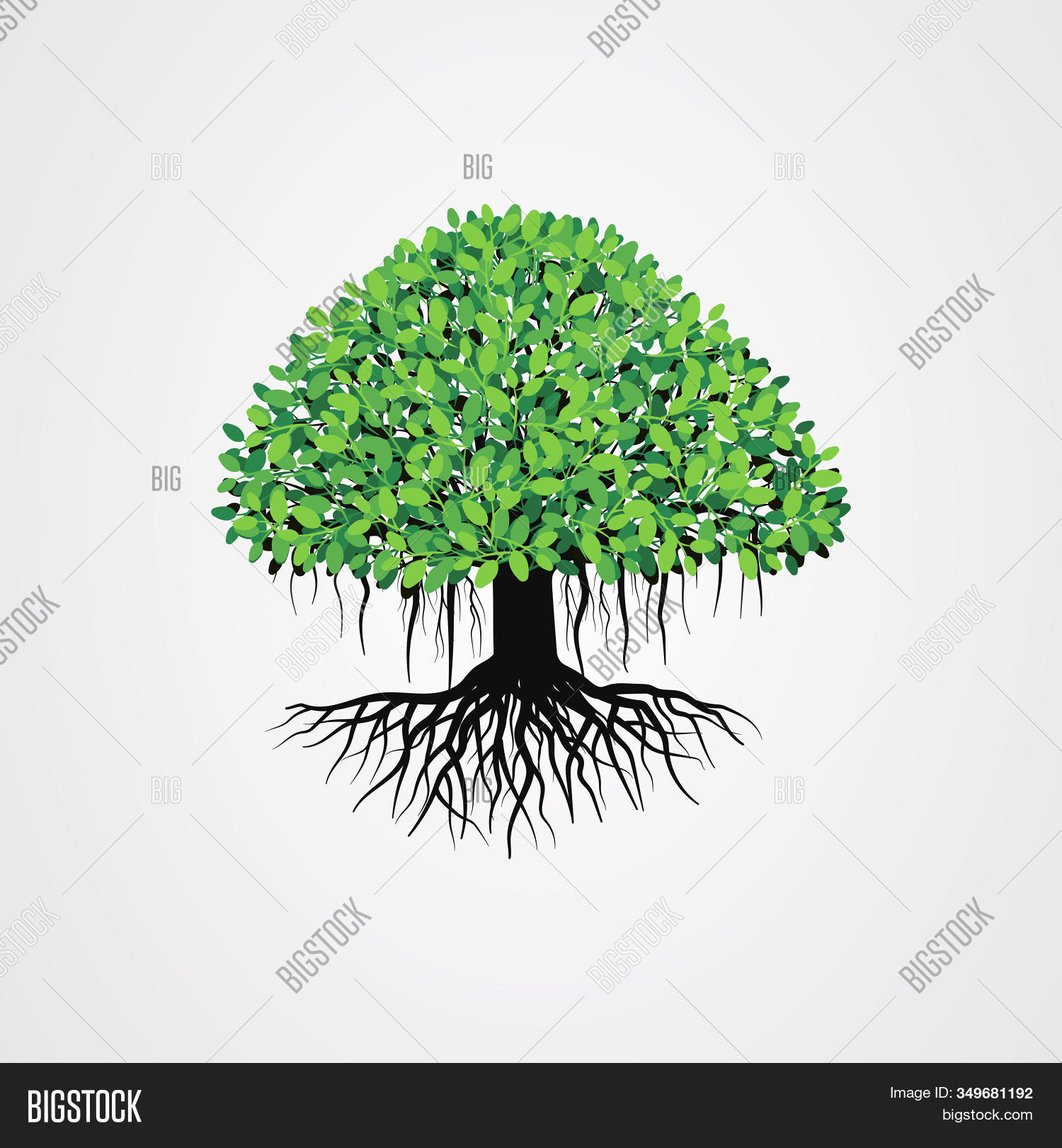 Banyan Tree Vector Vector & Photo (Free Trial) | Bigstock