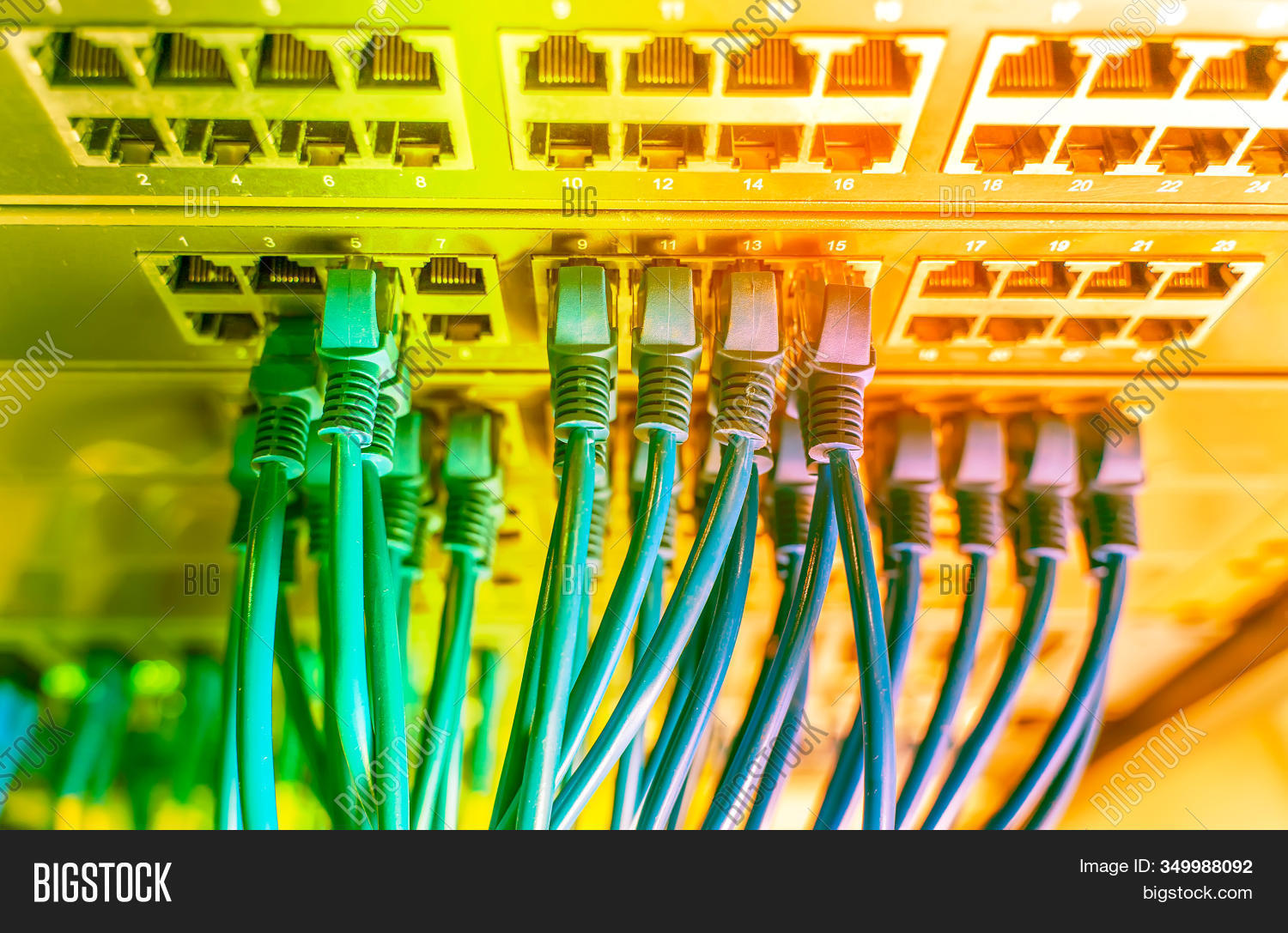 Network Cable Switch Image & Photo (Free Trial) | Bigstock