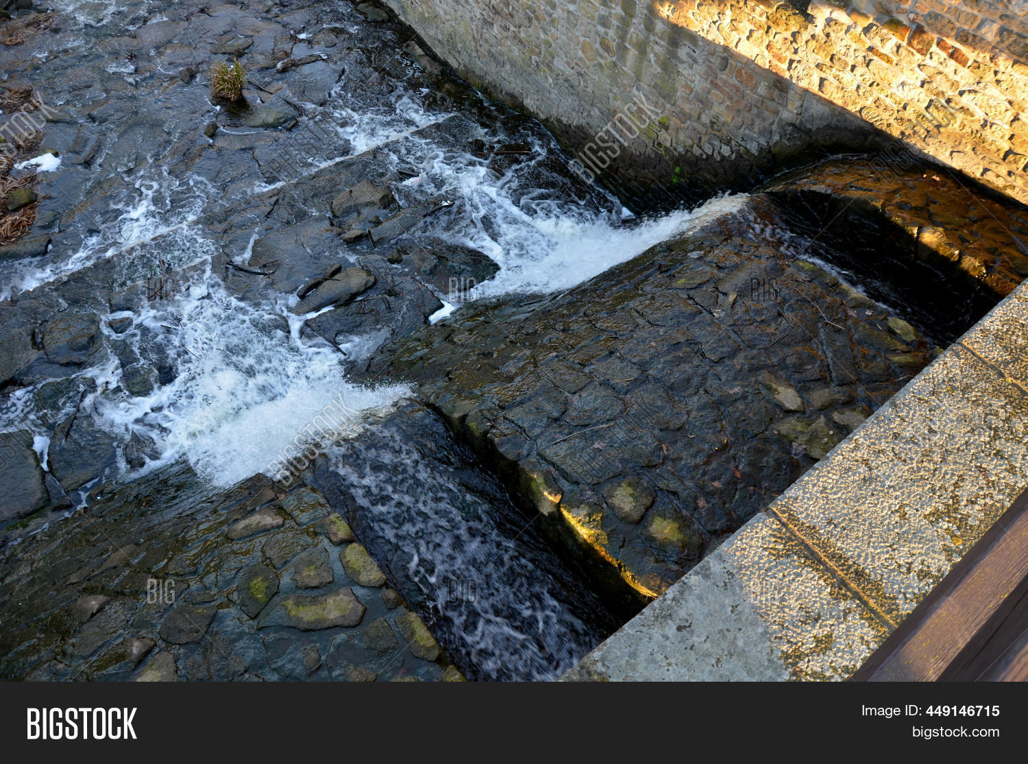 Dam Breeding Fish Pond Image & Photo (Free Trial) | Bigstock