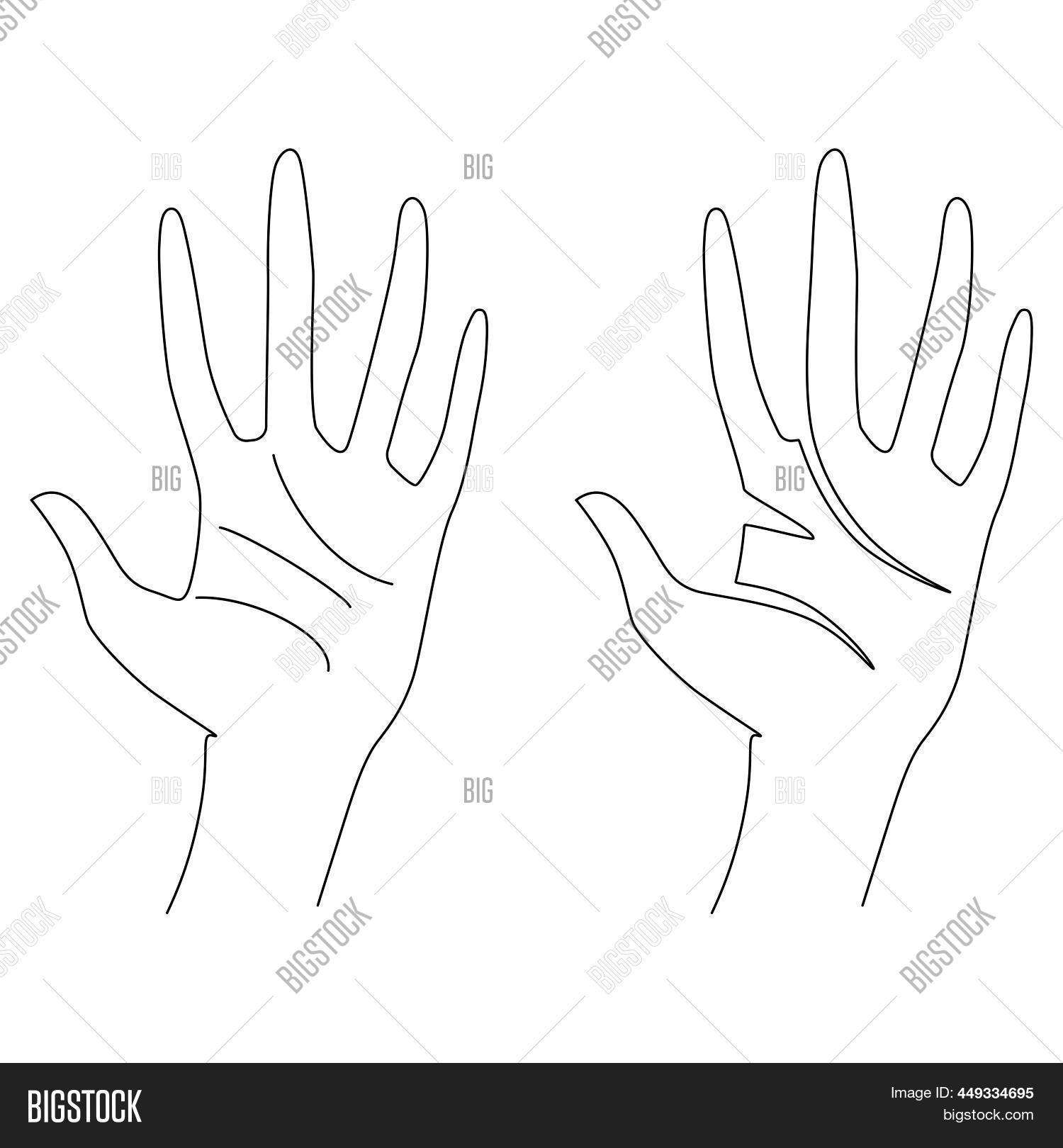 Woman's Hand Gestures Image & Photo (Free Trial) | Bigstock