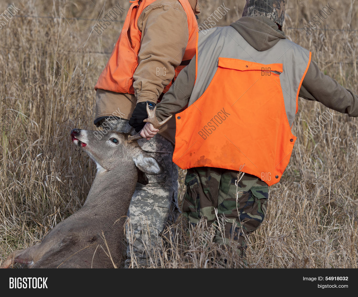 Deer Hunters Image & Photo (Free Trial) | Bigstock