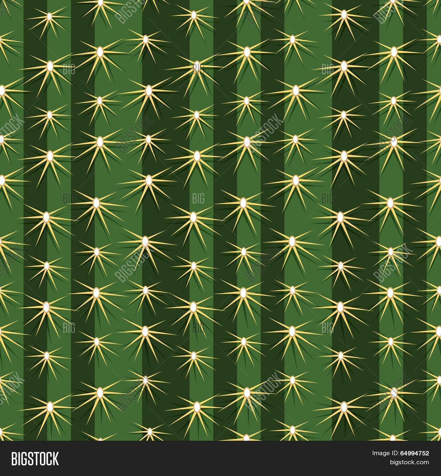 Cactus Plants Texture Vector & Photo (Free Trial) | Bigstock