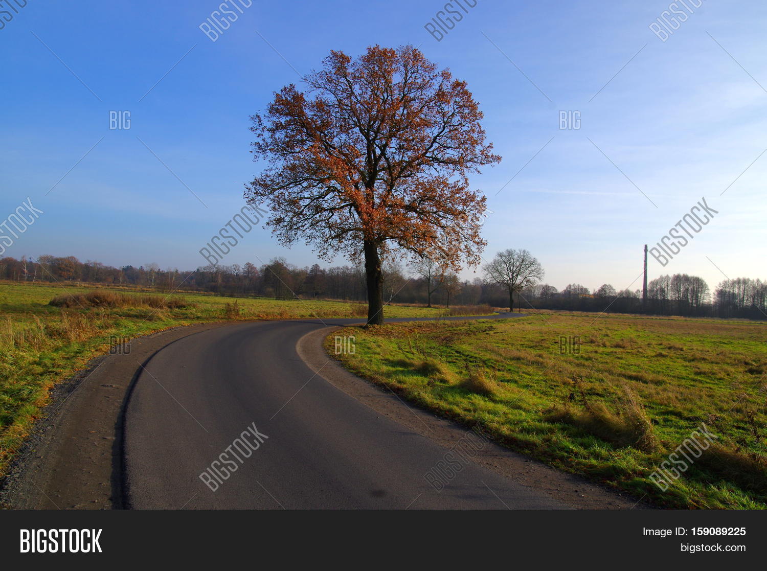 Photo Shows Solitary Image & Photo (Free Trial) | Bigstock