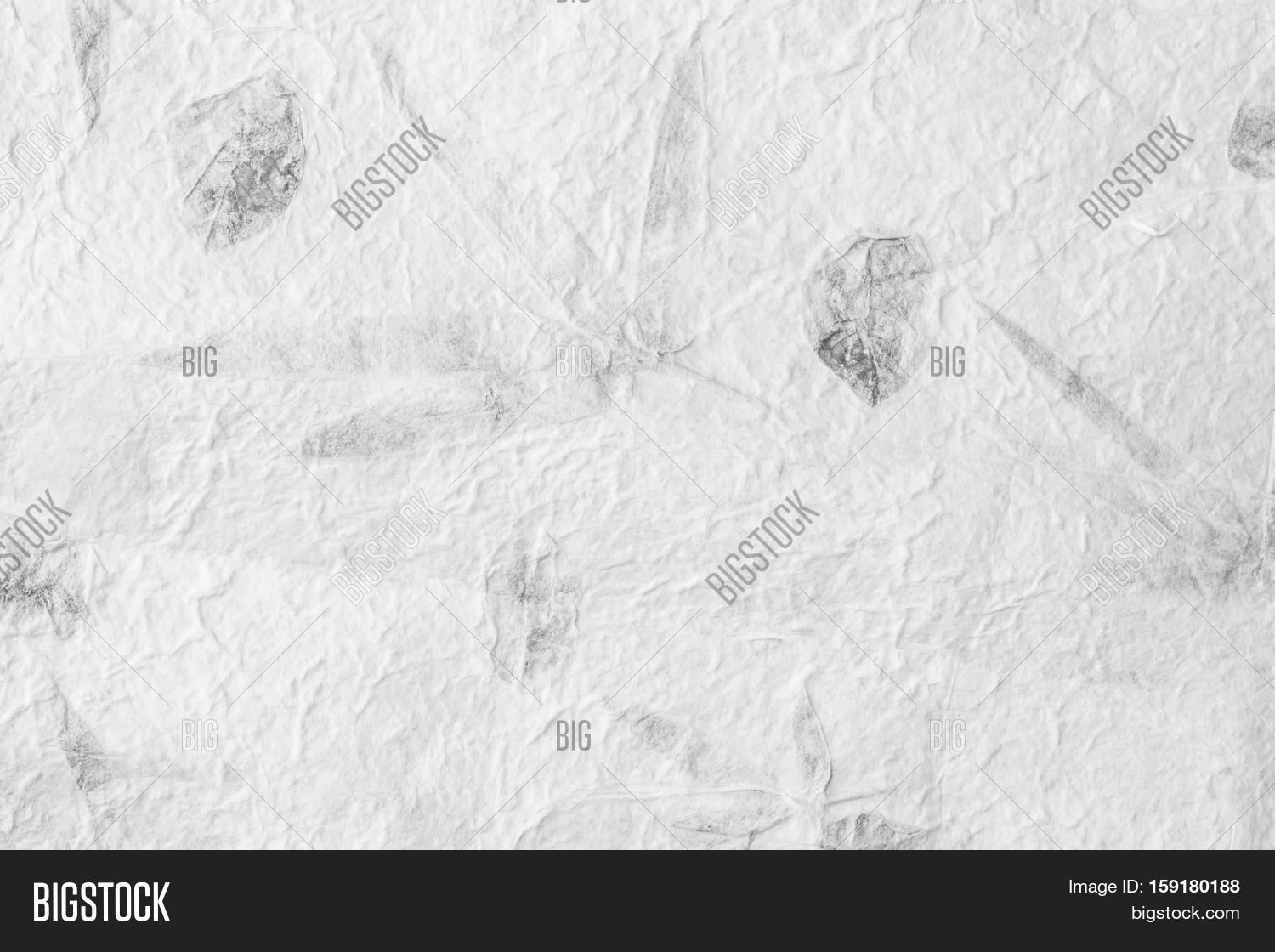 Natural Recycled Paper Image & Photo (Free Trial) | Bigstock