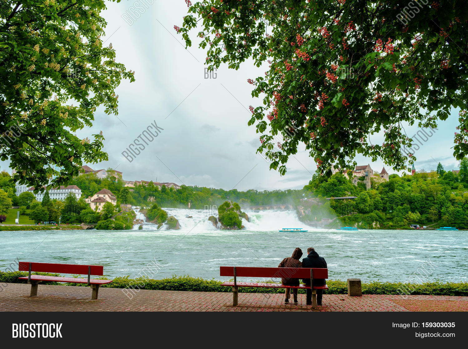 Bench Under Tree Image & Photo (Free Trial) | Bigstock