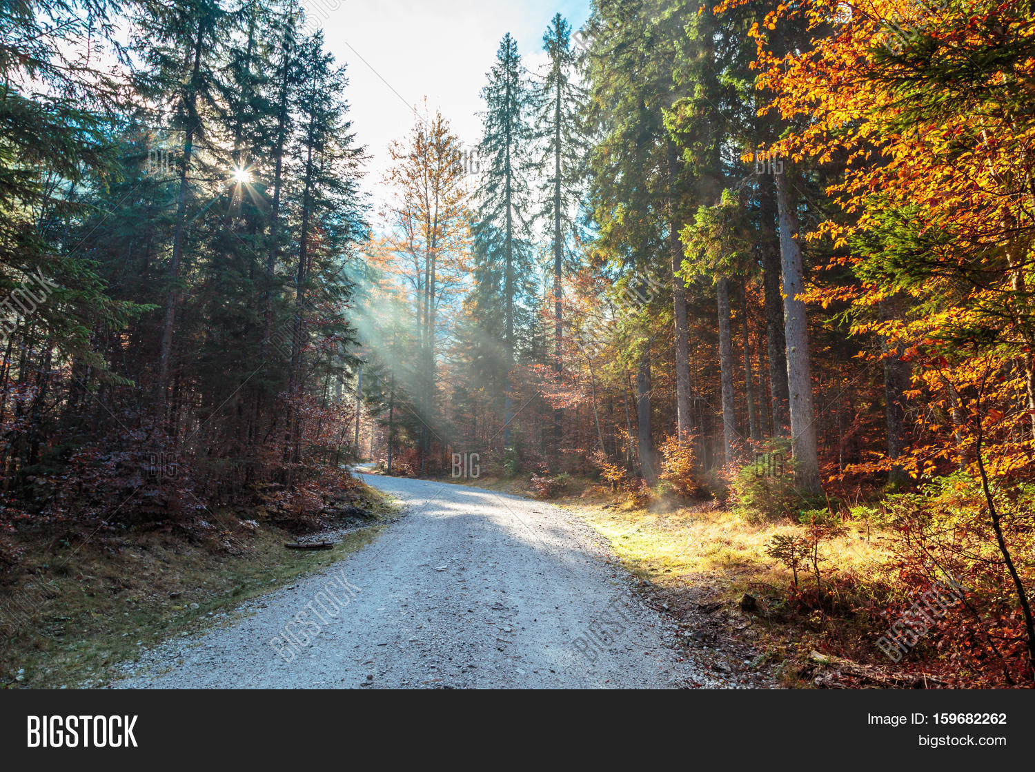 Trekking Path Autumn Image & Photo (Free Trial) | Bigstock