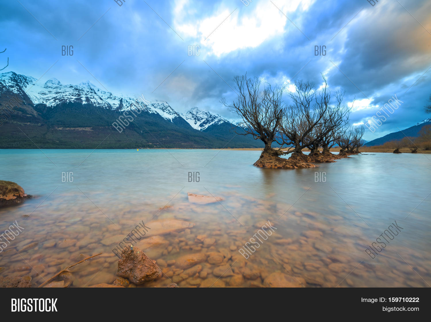 Famous Willow Trees Image & Photo (Free Trial) | Bigstock