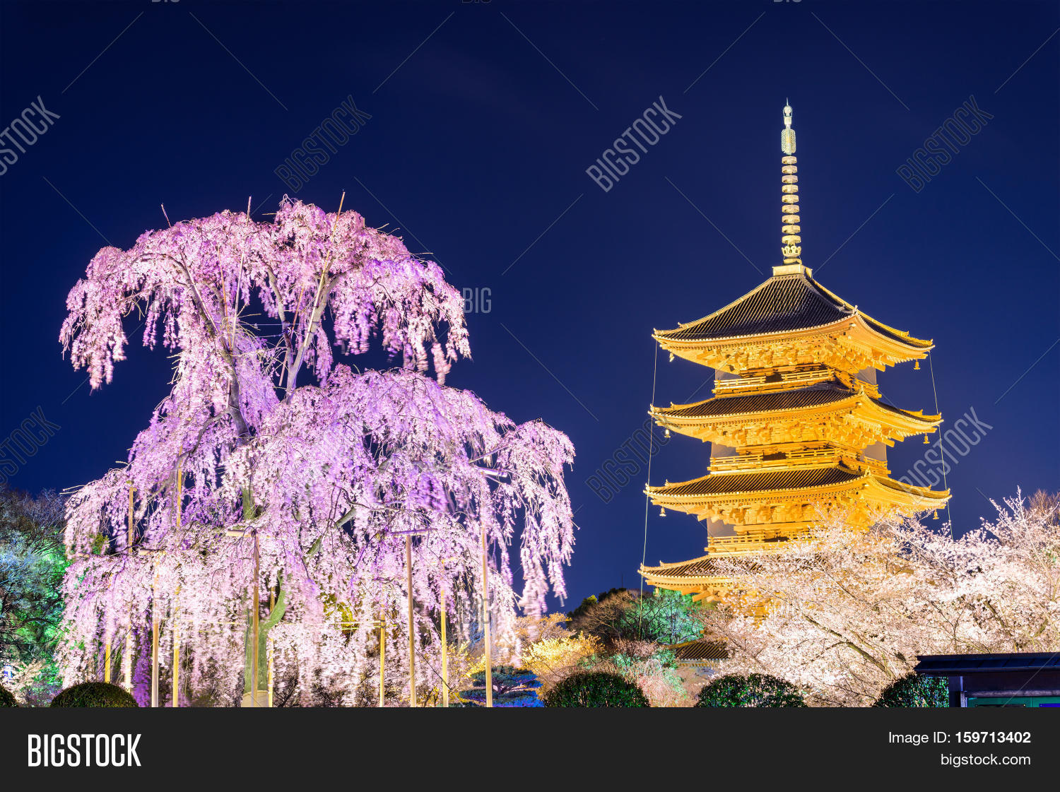 Kyoto, Japan Toji Image & Photo (Free Trial) | Bigstock