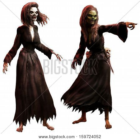 2 Horror Witches Hags Image & Photo (Free Trial) | Bigstock
