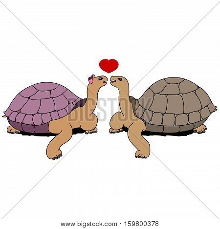 Couple Turtles Woman Vector & Photo (Free Trial) | Bigstock